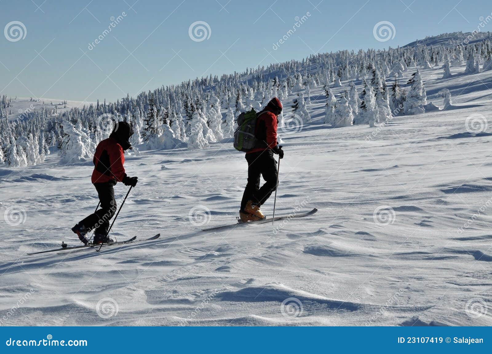 Alpine touring skiers stock image. Image of scenic, resort - 23107419