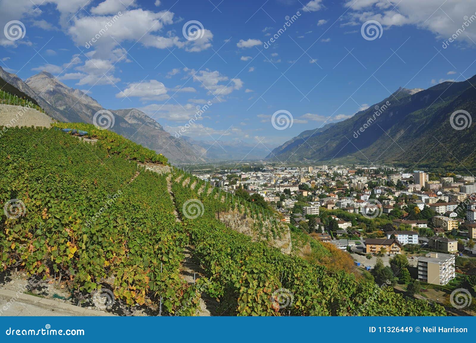 Alpine town and vineyards stock image. Image of scene - 11326449