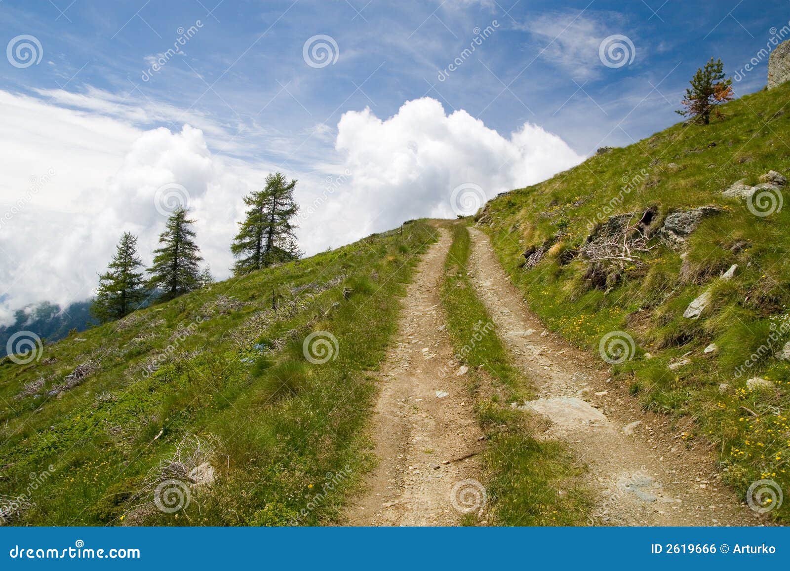Alpine Track Stock Photo | CartoonDealer.com #2619666