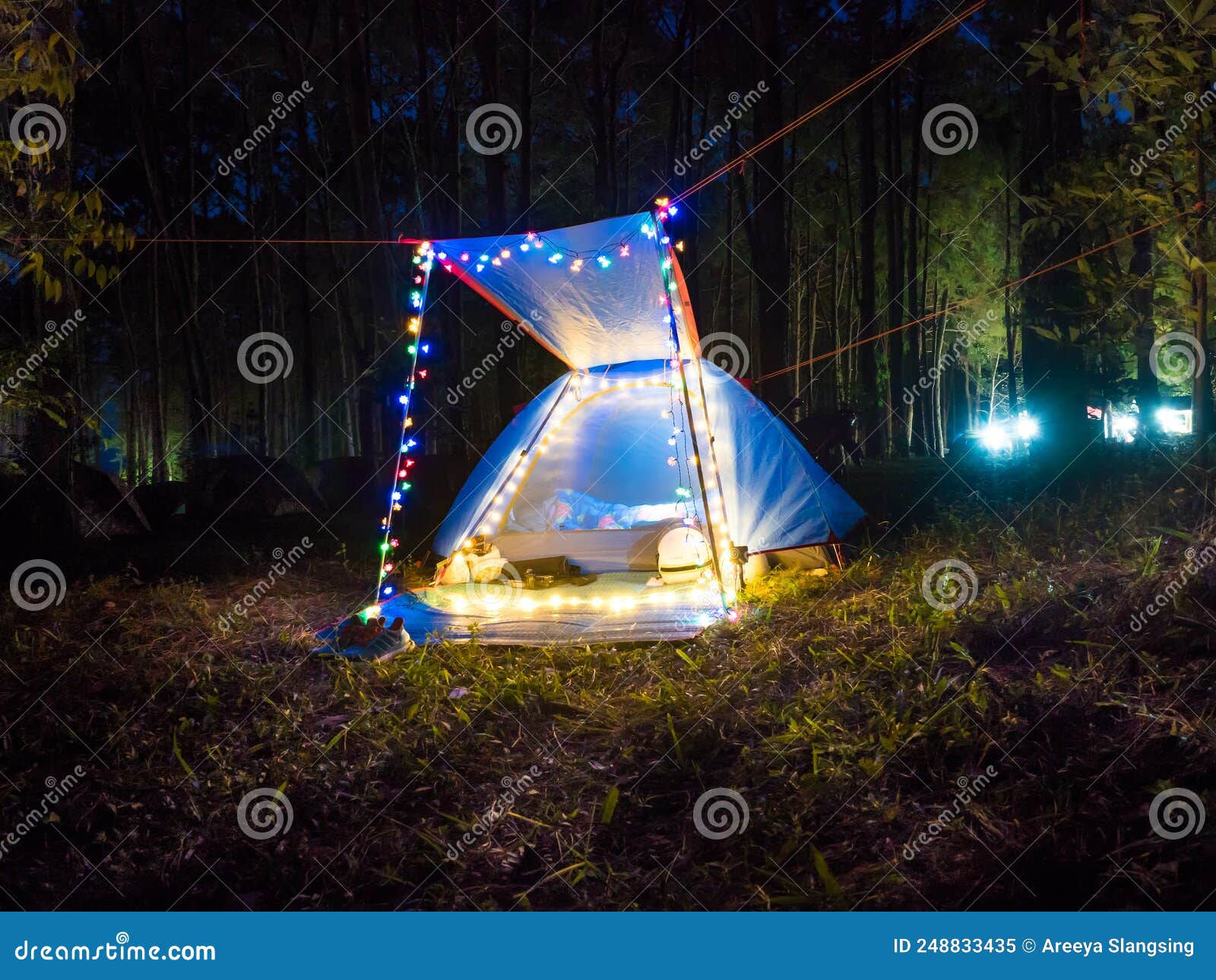 Alpine Tree in the Camping Site, Outdoor Expedition Activity Stock ...