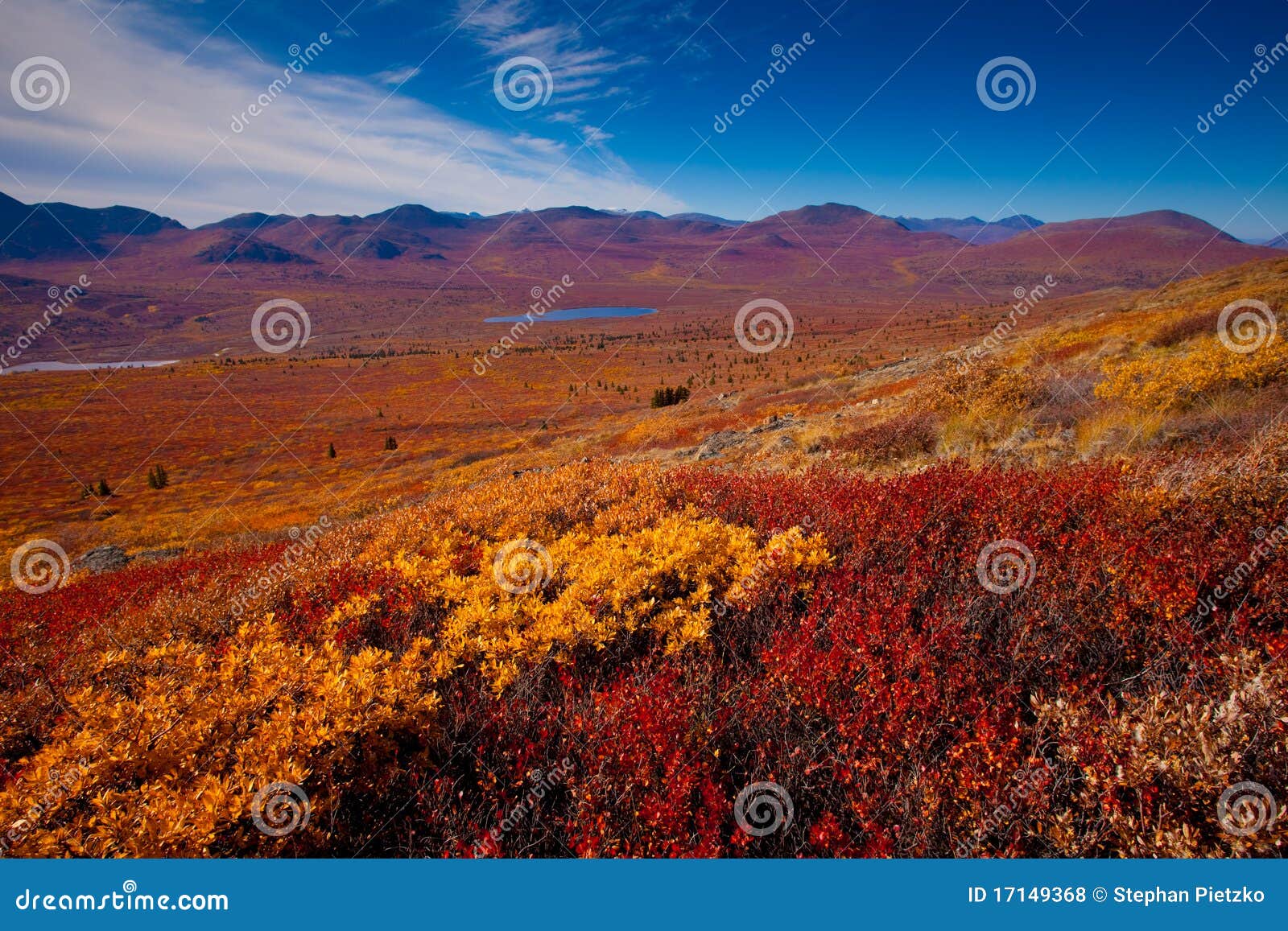 Alpine Tundra Above Tree Line On High Lonesome Trail In Indian Peaks ...