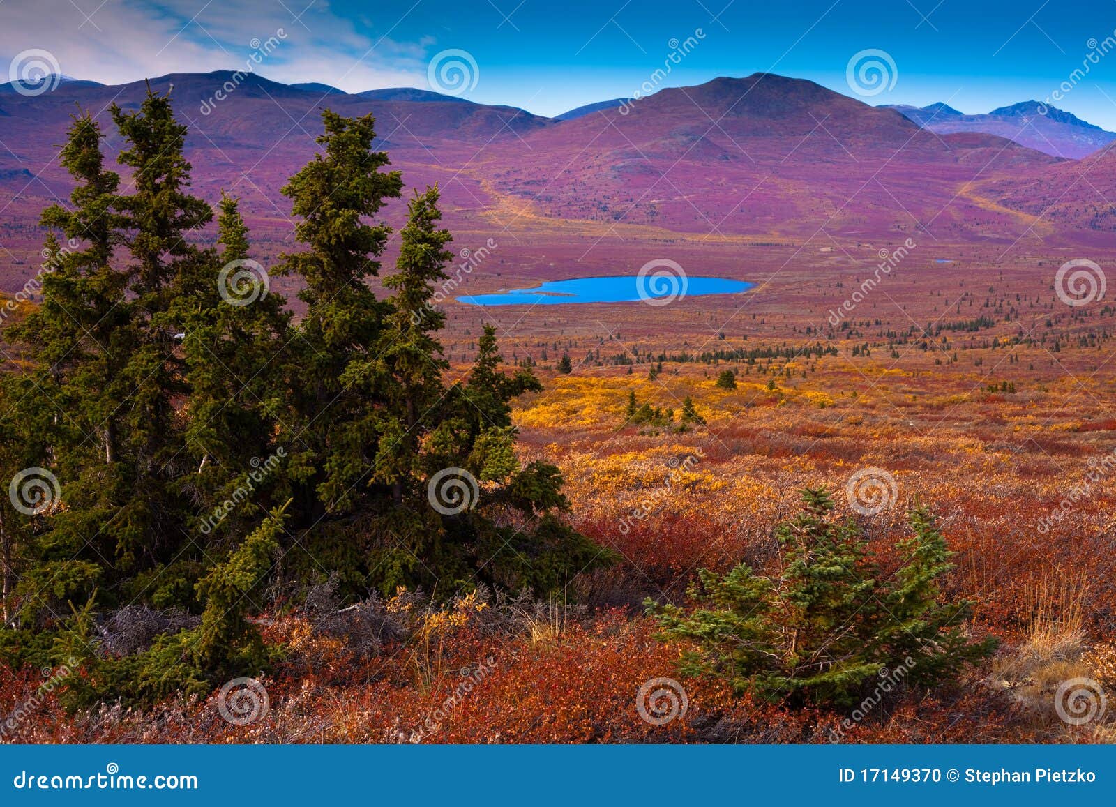 Alpine Tundra Above Tree Line On High Lonesome Trail In Indian Peaks ...