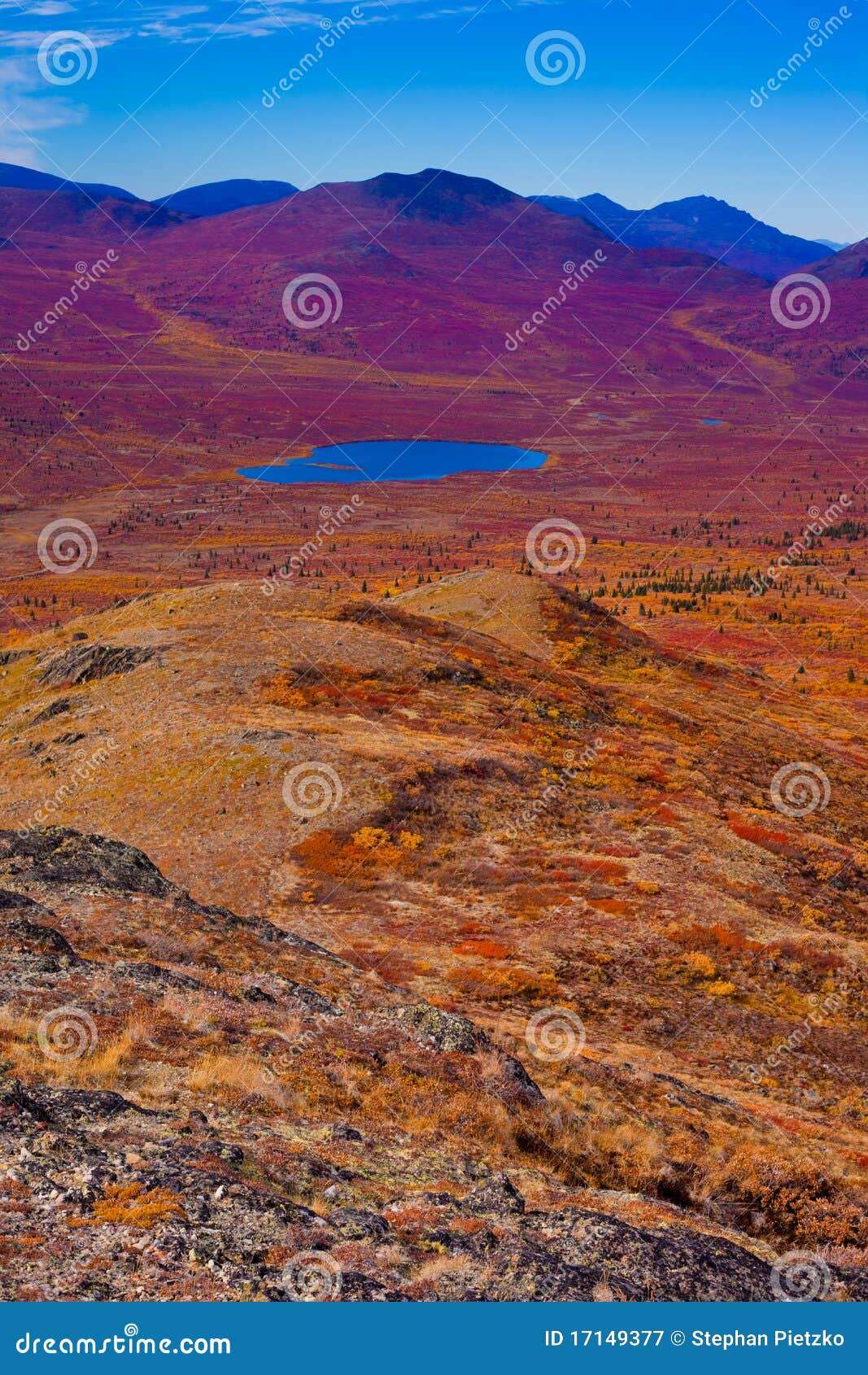 Alpine tundra stock image. Image of colors, mountain - 17149377