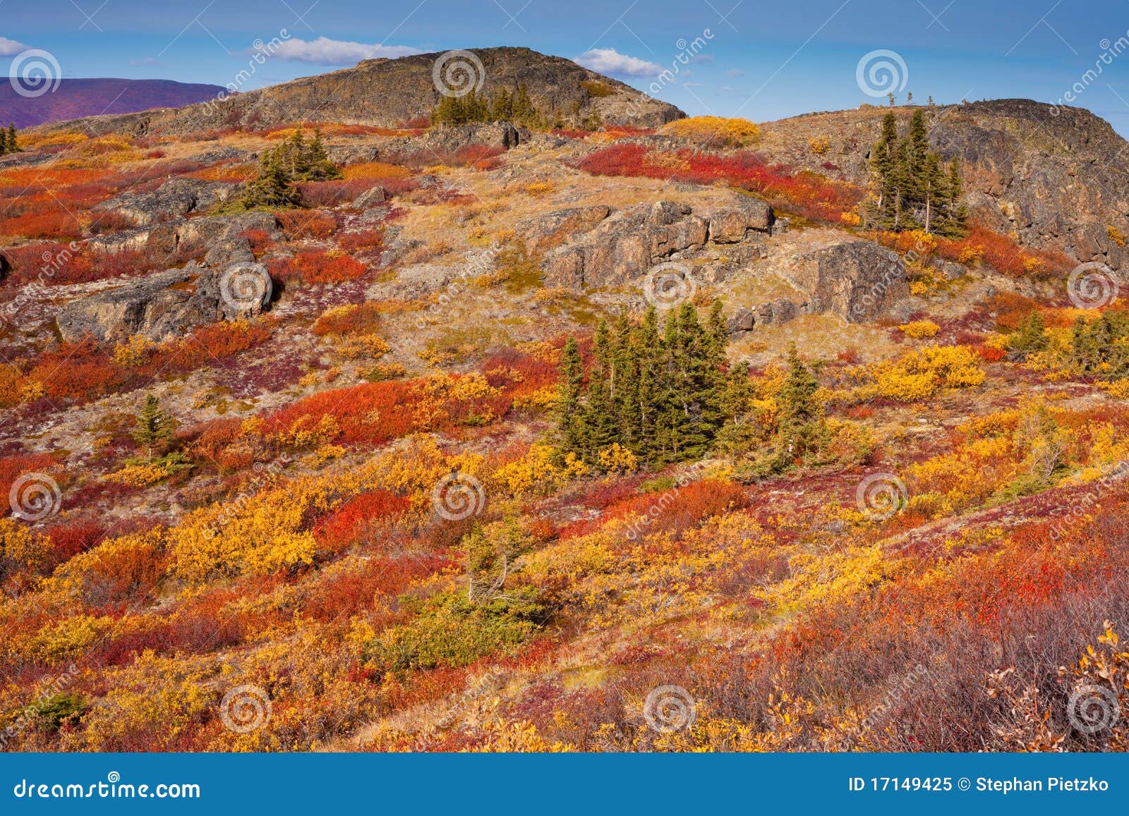 Alpine tundra stock image. Image of alpine, multicoloured - 17149425