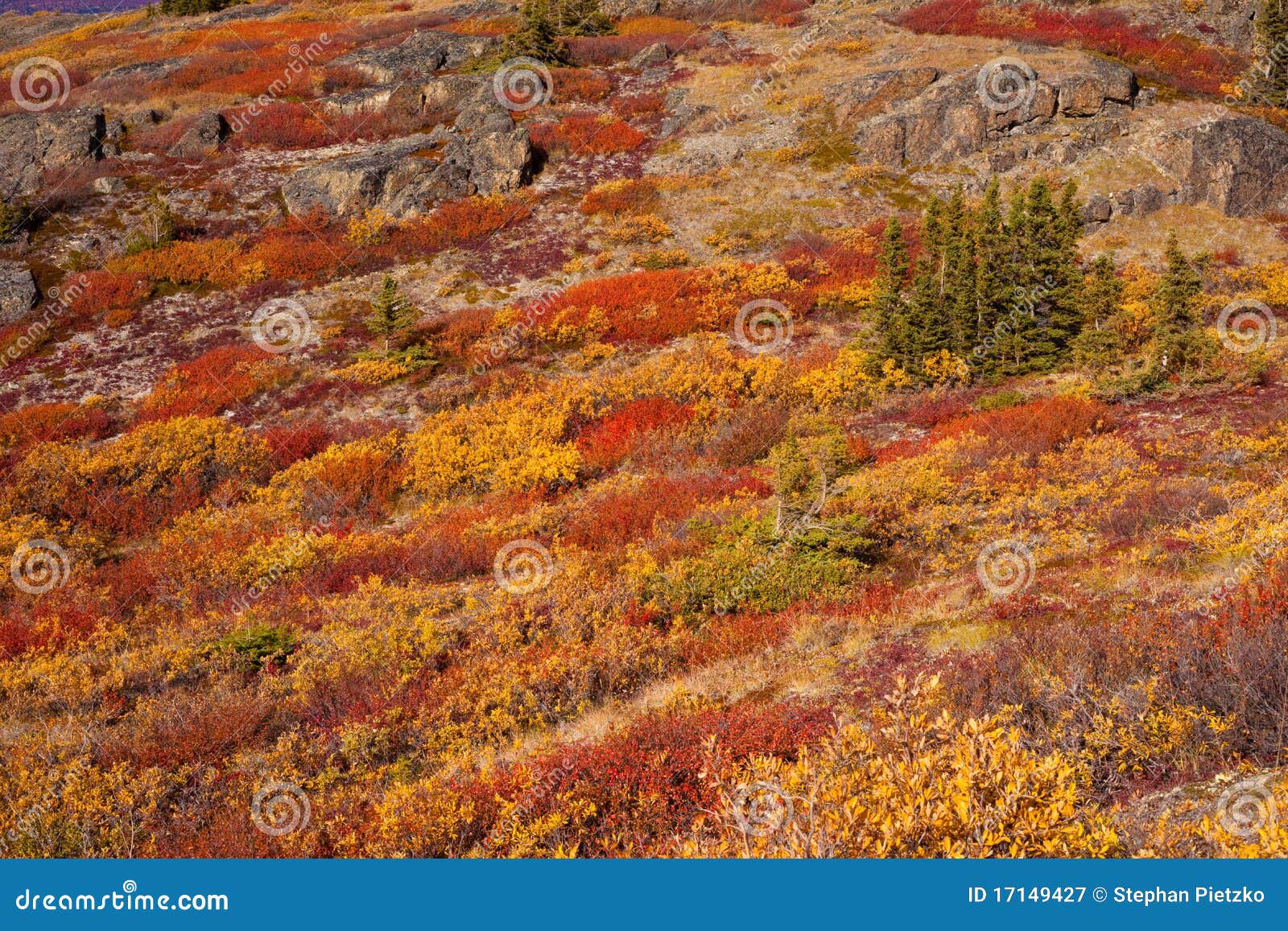 Alpine tundra stock image. Image of colors, alpine, pattern - 17149427