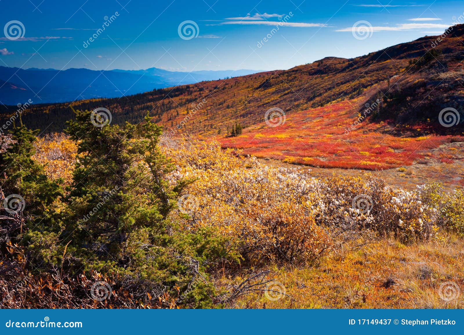 Alpine tundra stock image. Image of colors, outdoor, canada - 17149437
