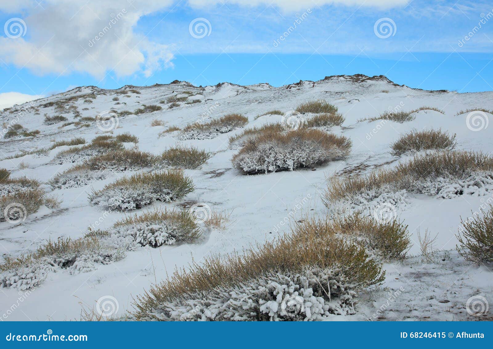 Alpine tundra stock image. Image of scenery, plant, frost - 68246415