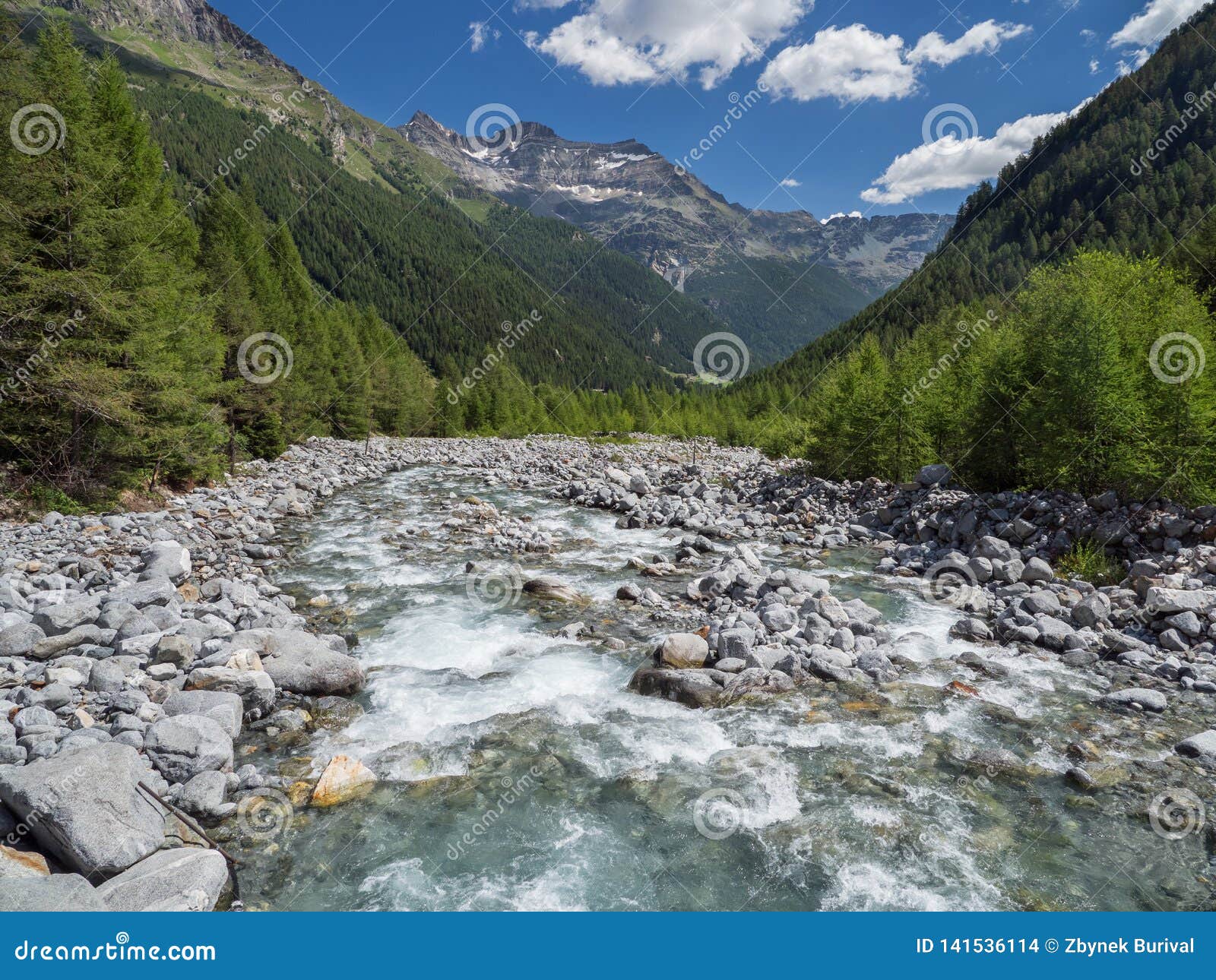 Alpine Val Sissone Valley with River, Larch Trees and Mountains Stock ...