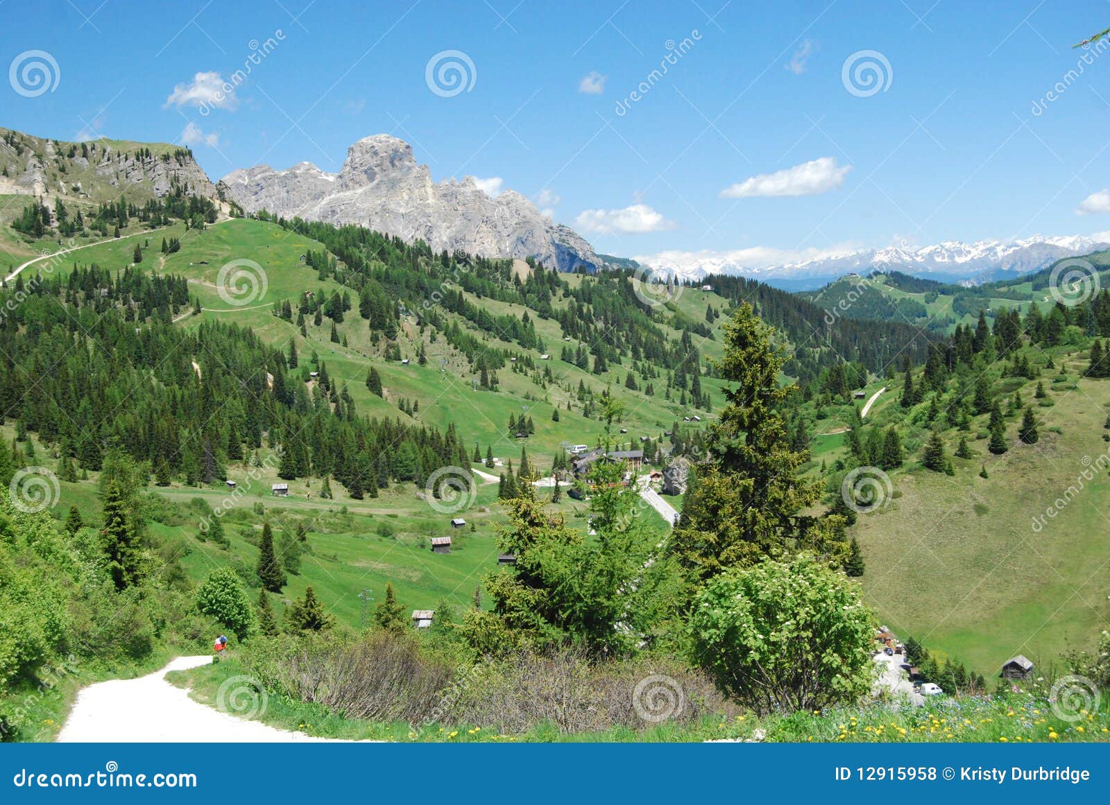 Alpine Valley stock photo. Image of trees, alpine, austria - 12915958