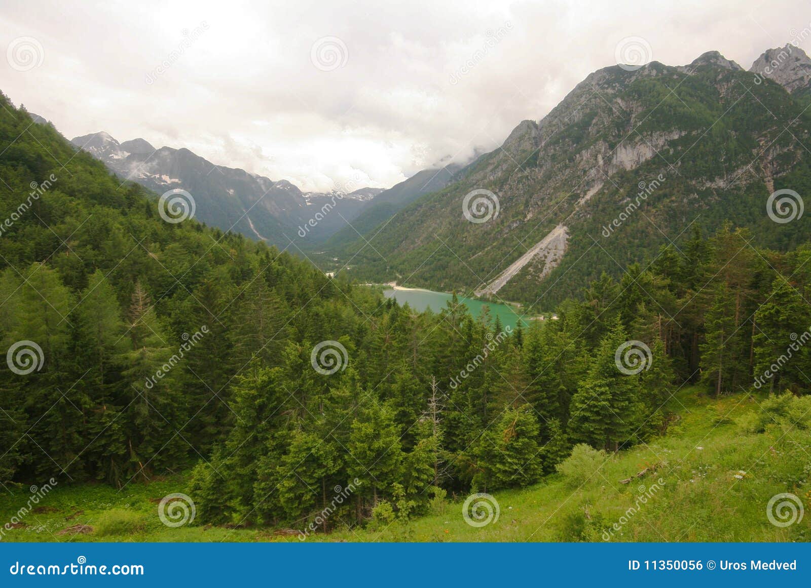 Alpine view stock photo. Image of alpine, green, scenic - 11350056