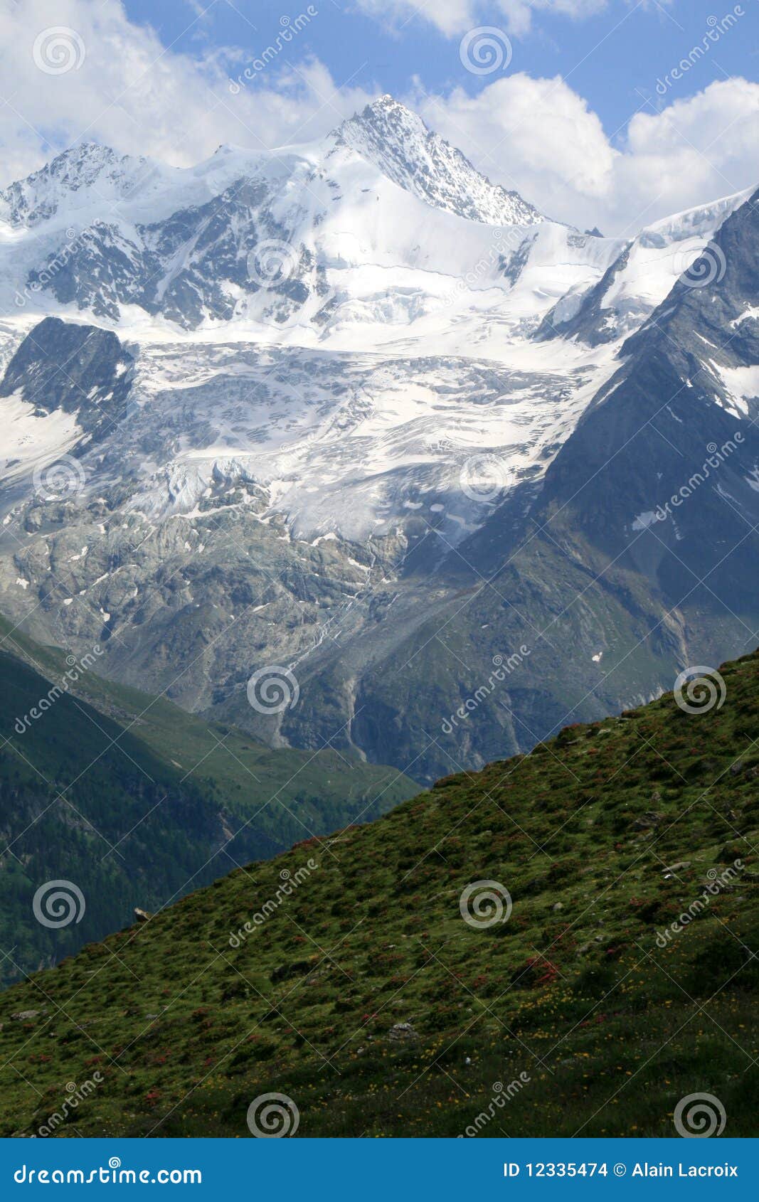 Alpine view stock photo. Image of meadows, fields, meadow - 12335474