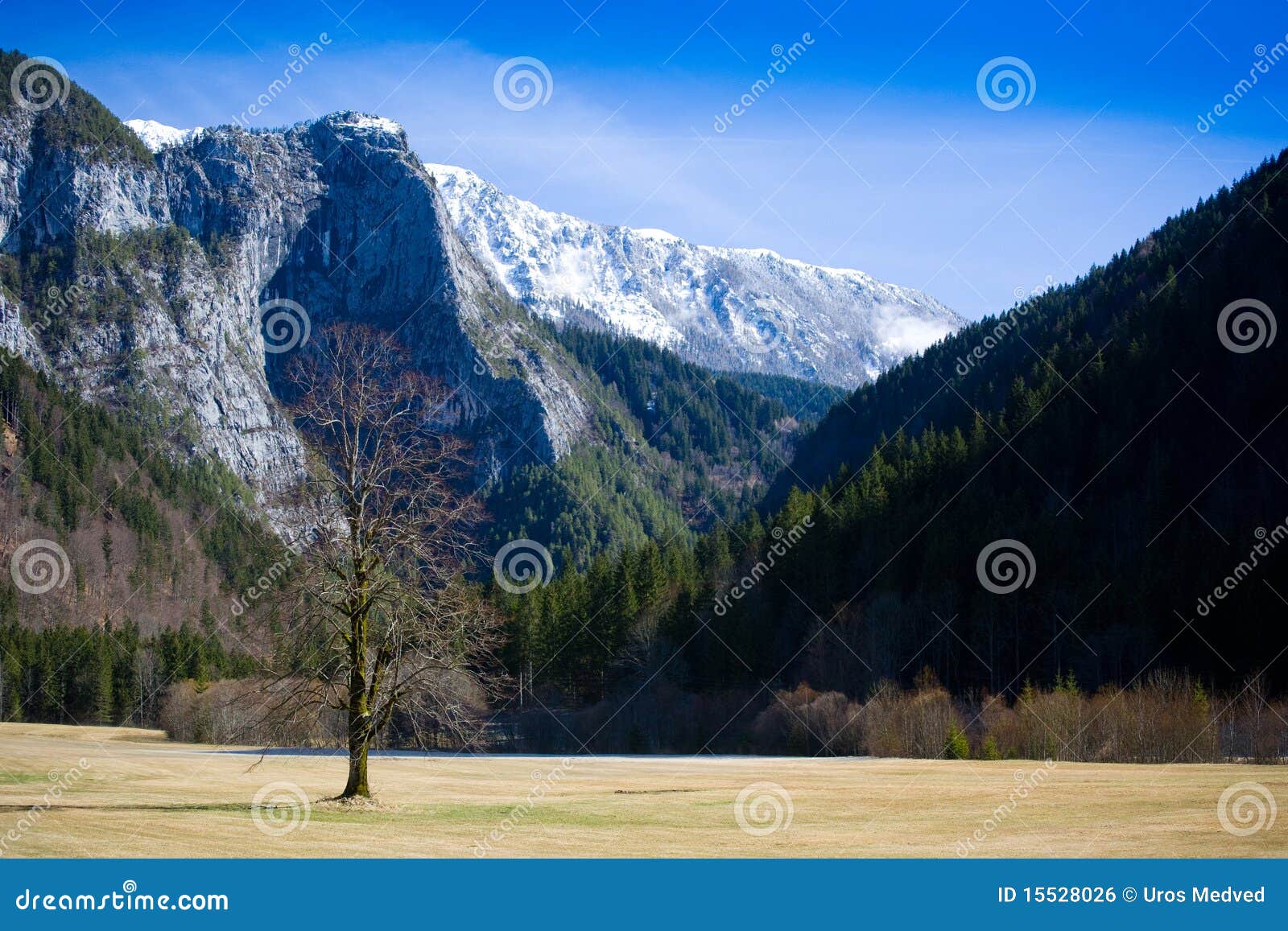 Alpine view stock photo. Image of alps, outdoor, freedom - 15528026