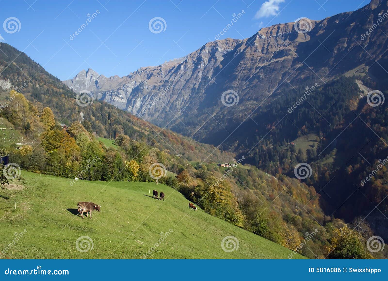Alpine view stock photo. Image of nature, rock, picturesque - 5816086