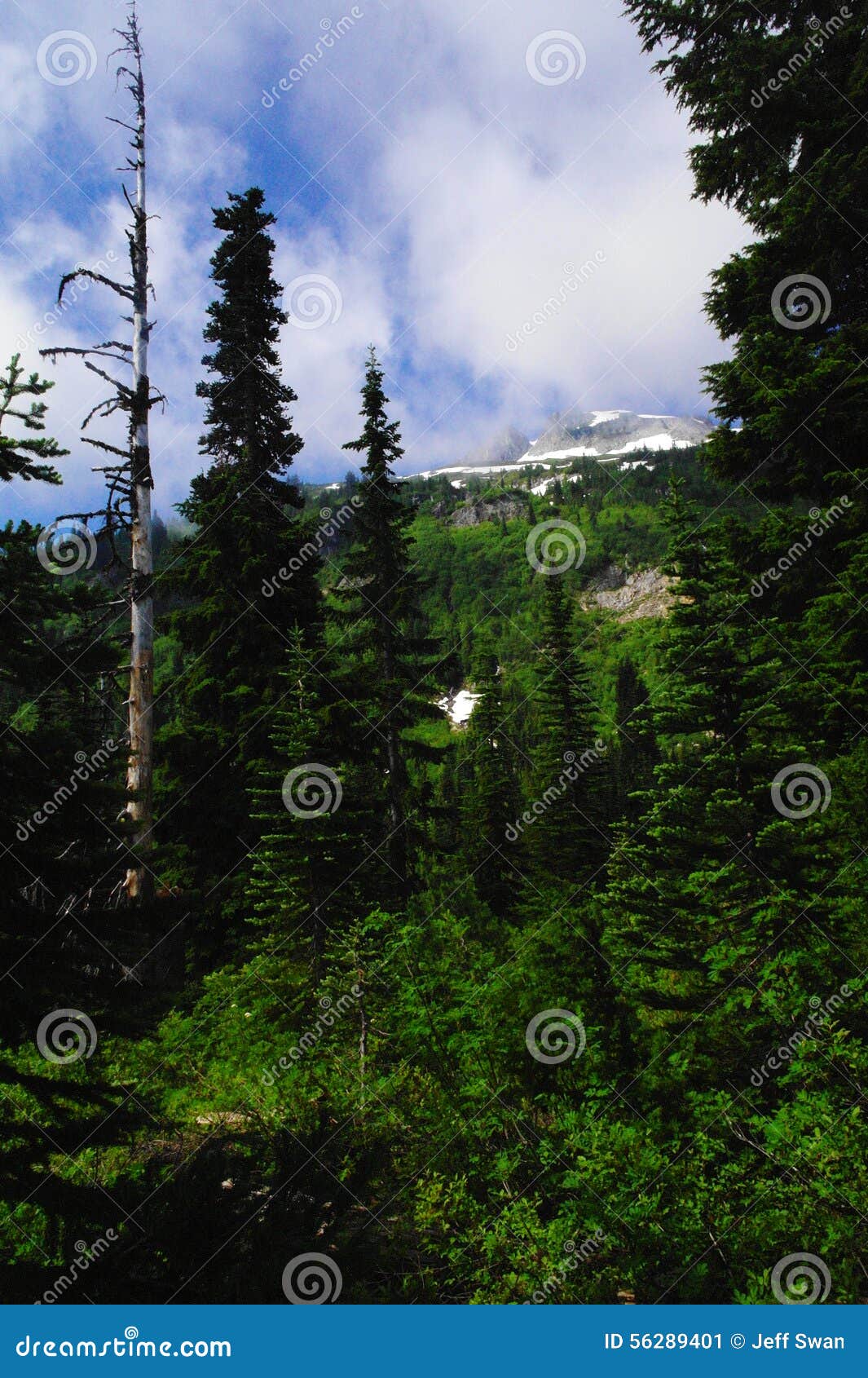 An alpine view stock image. Image of green, alpine, scenic - 56289401