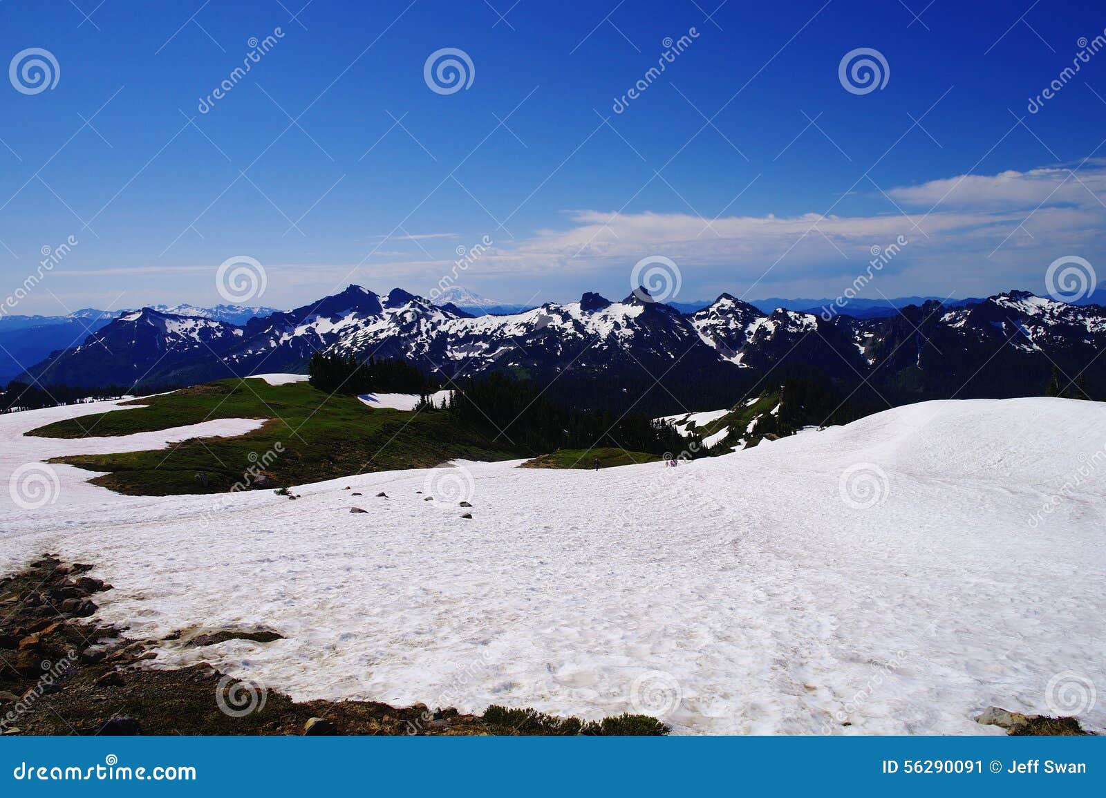 An alpine view stock image. Image of alpine, view, forest - 56290091