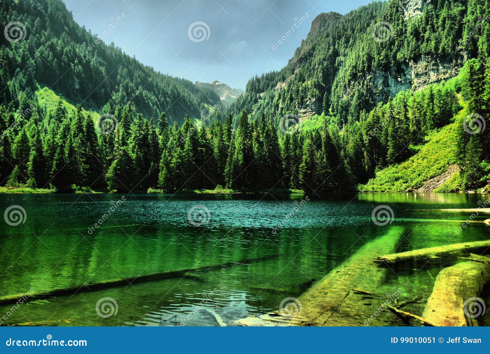 Alpine views stock image. Image of forest, biome, reservoir - 99010051