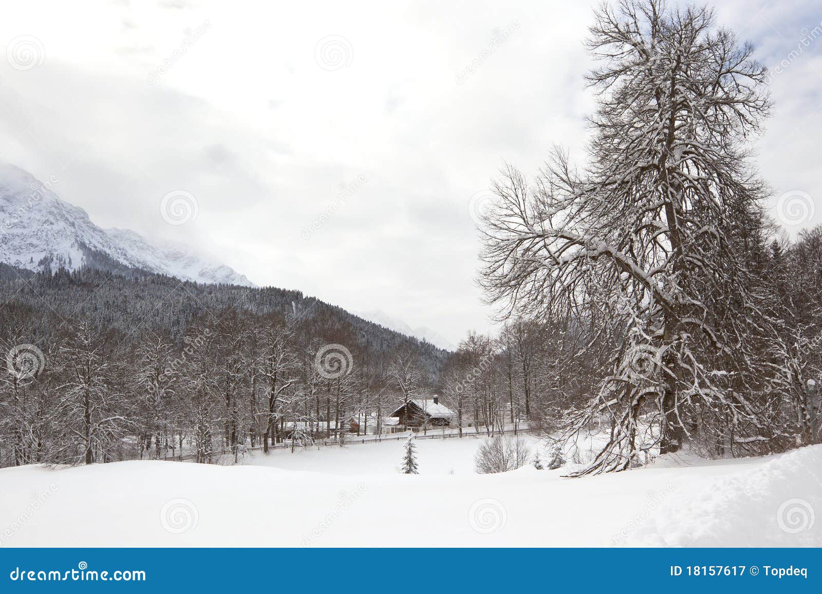 Alpine Village at Snow Winter Stock Image - Image of alps, landscape ...