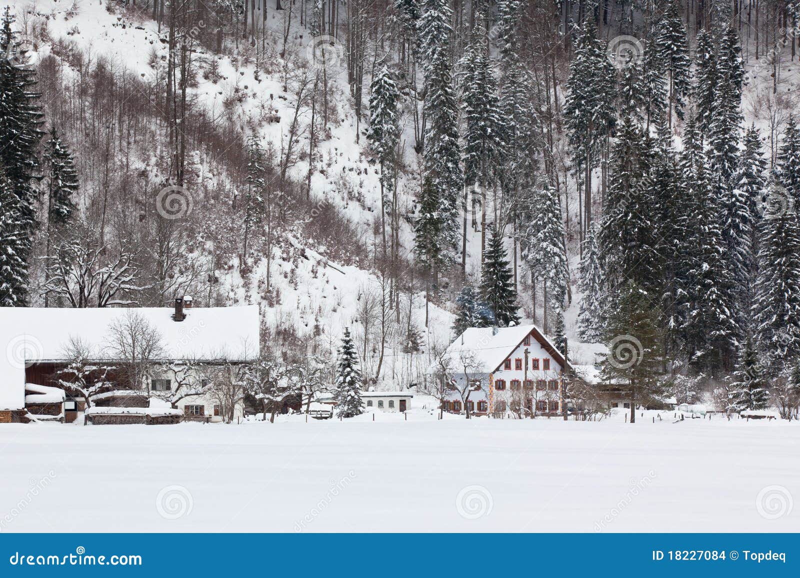 Alpine Village at Snow Winter Stock Photo - Image of nature, frost ...