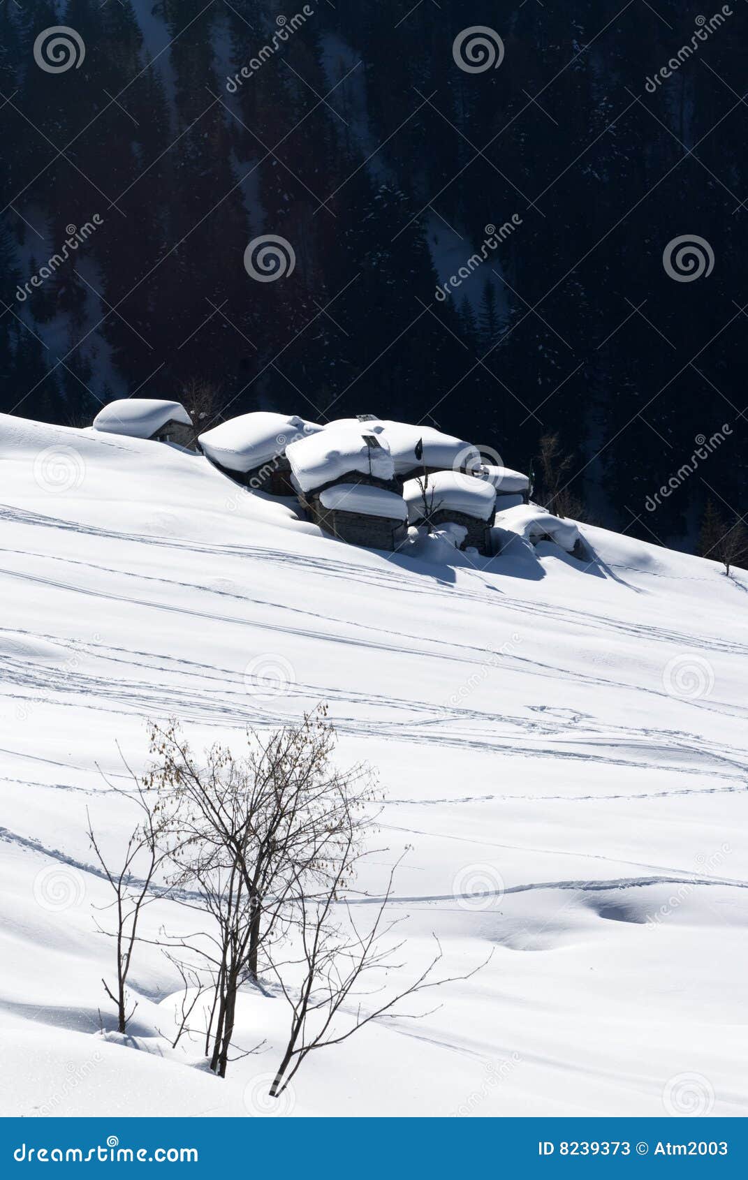 Alpine village under snow stock image. Image of magical - 8239373