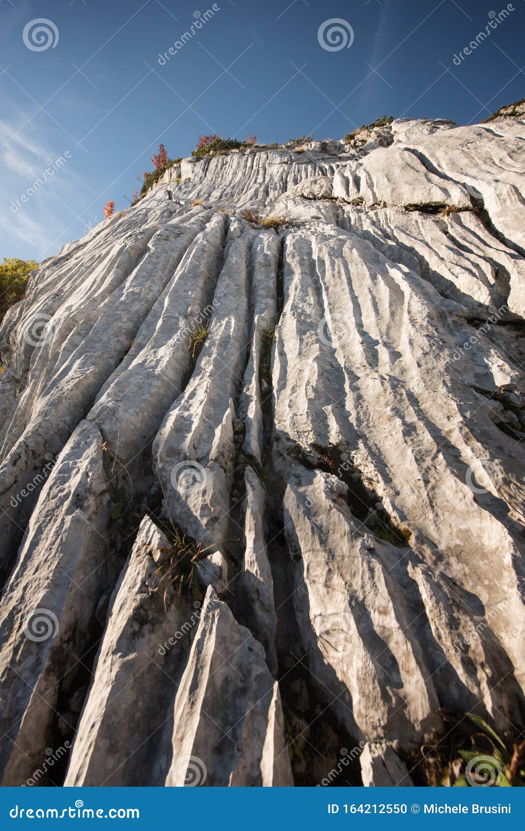Alpine wall stock photo. Image of mountain, rock, texture - 164212550