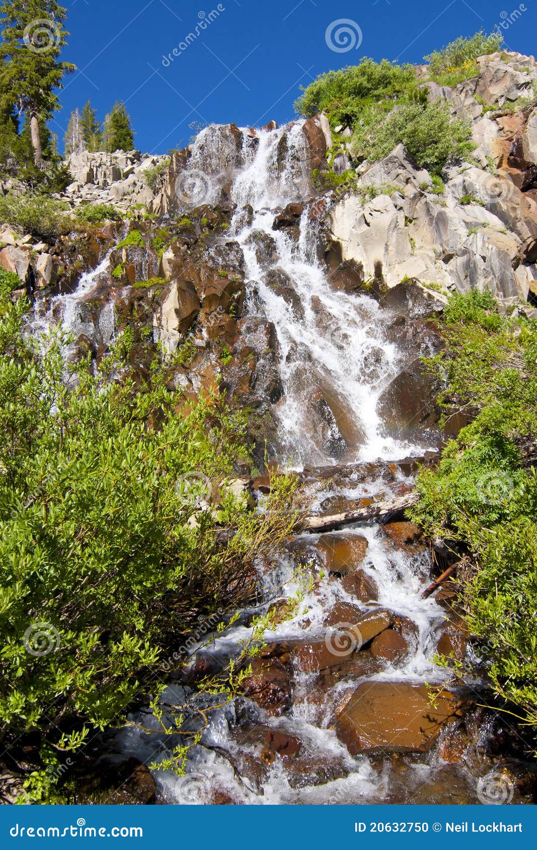 Alpine Waterfall stock photo. Image of plant, refreshing - 20632750