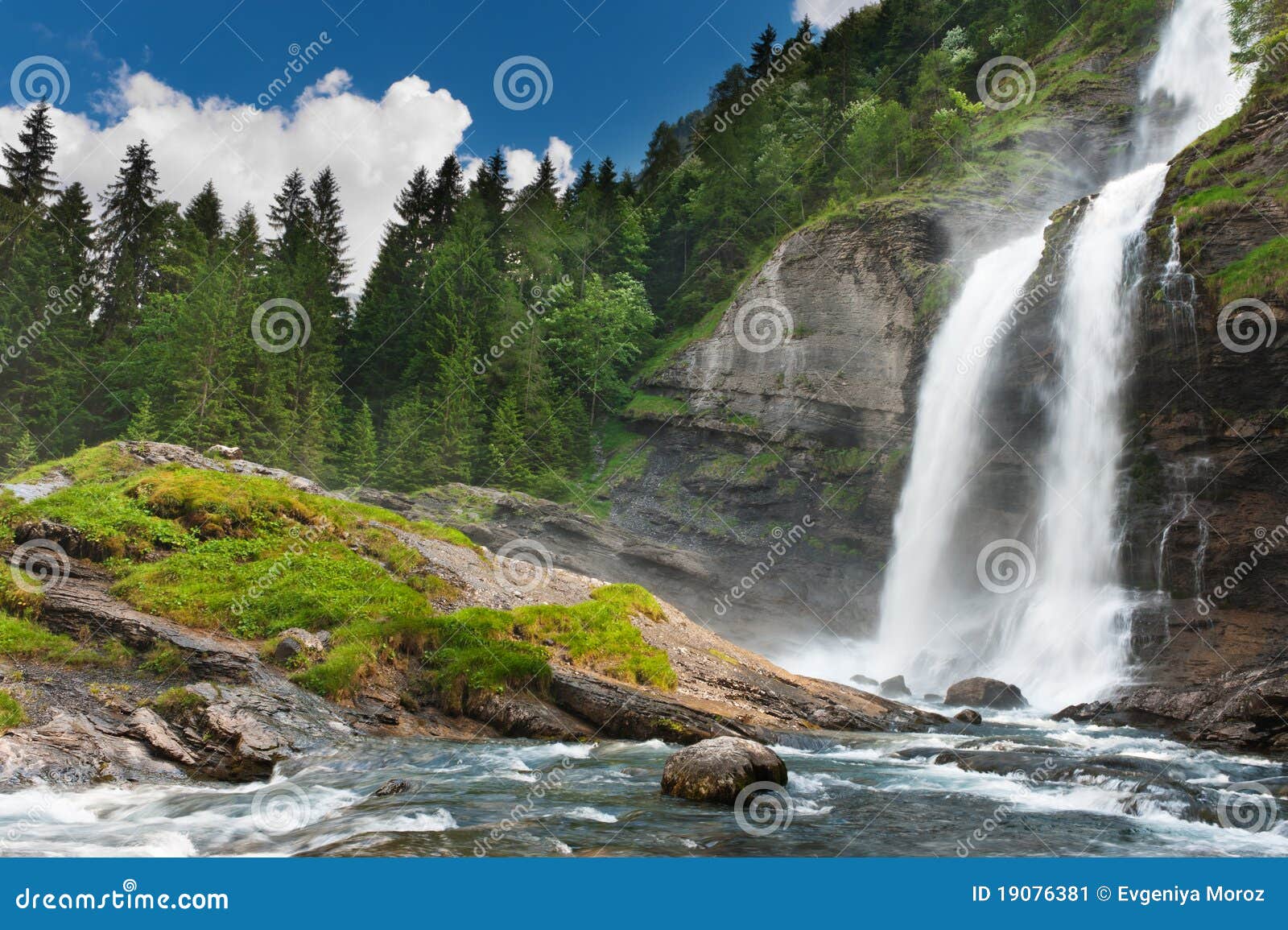 Alpine Waterfall in Mountain Forest Stock Image - Image of green ...