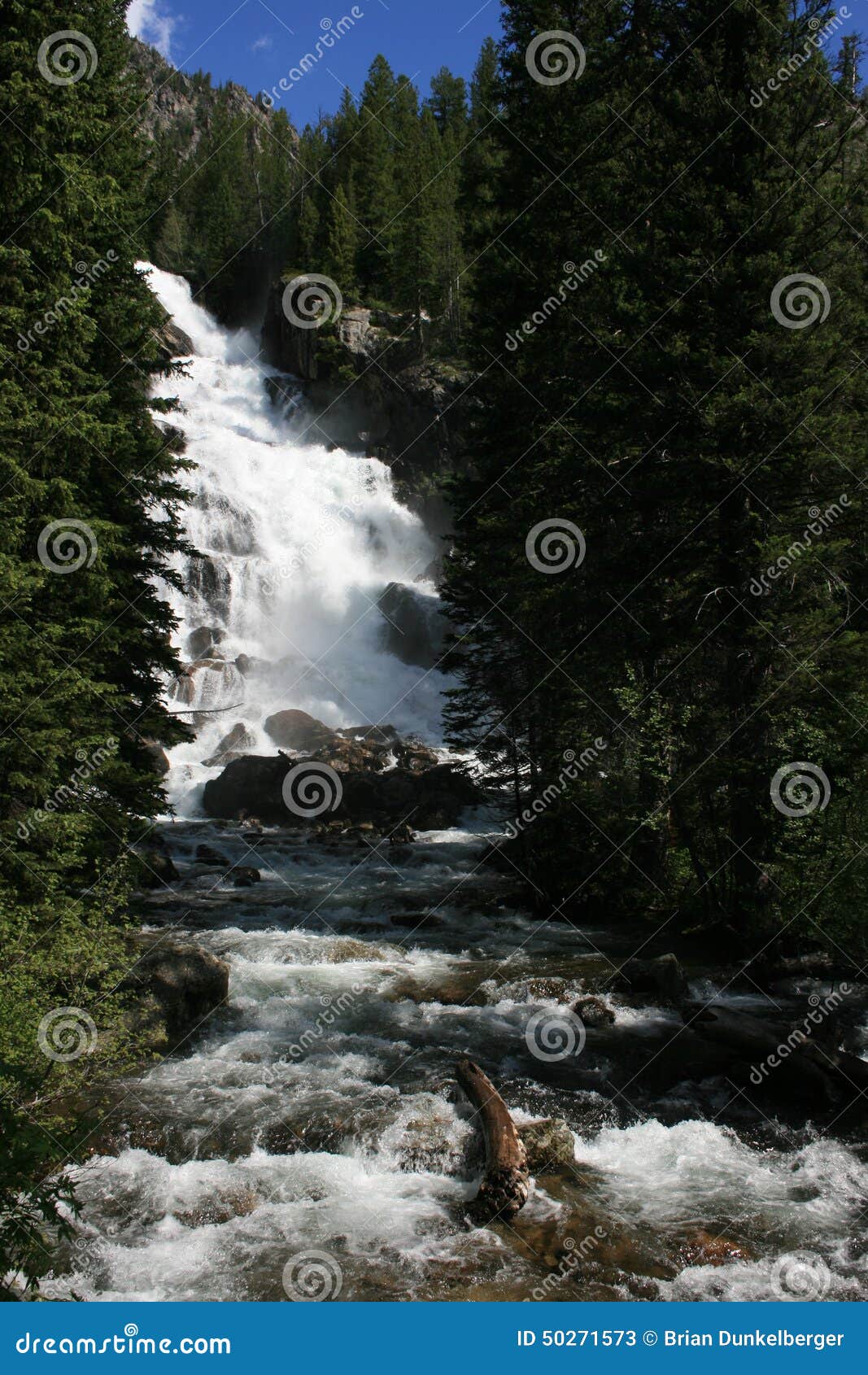 Alpine Waterfall stock image. Image of raging, park, pines - 50271573