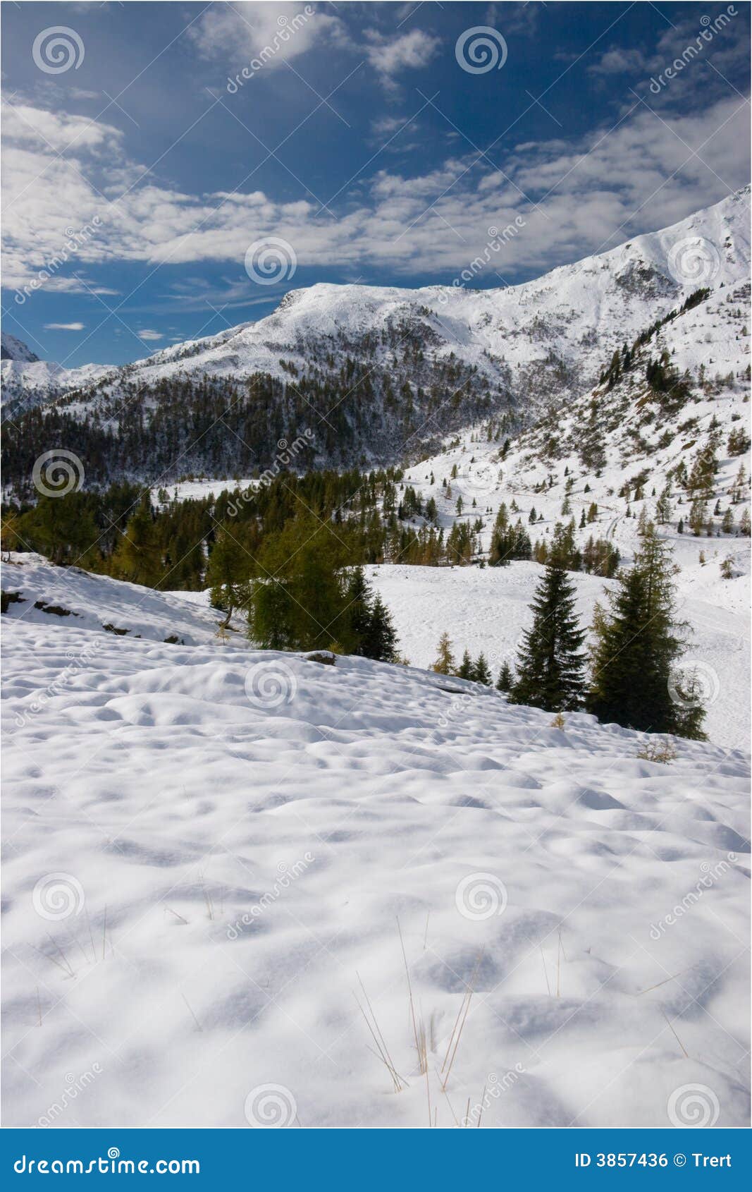 Alpine winter snow scene stock photo. Image of tirol, winter - 3857436
