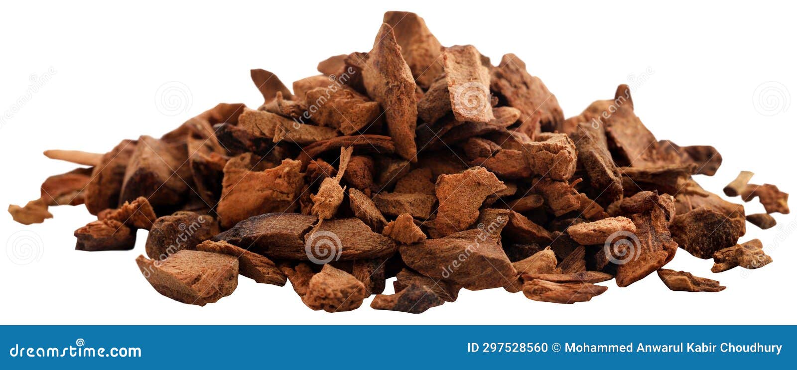 Alpinia Galanga or Aromatic Ginger Stock Photo - Image of aroma ...