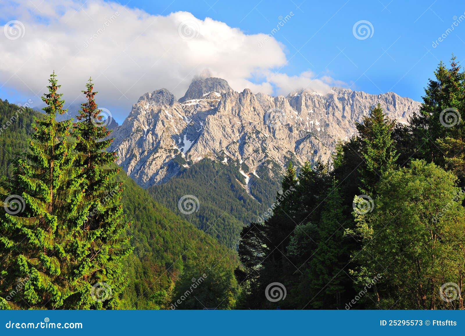 The Alps stock image. Image of forest, alpine, bavaria - 25295573