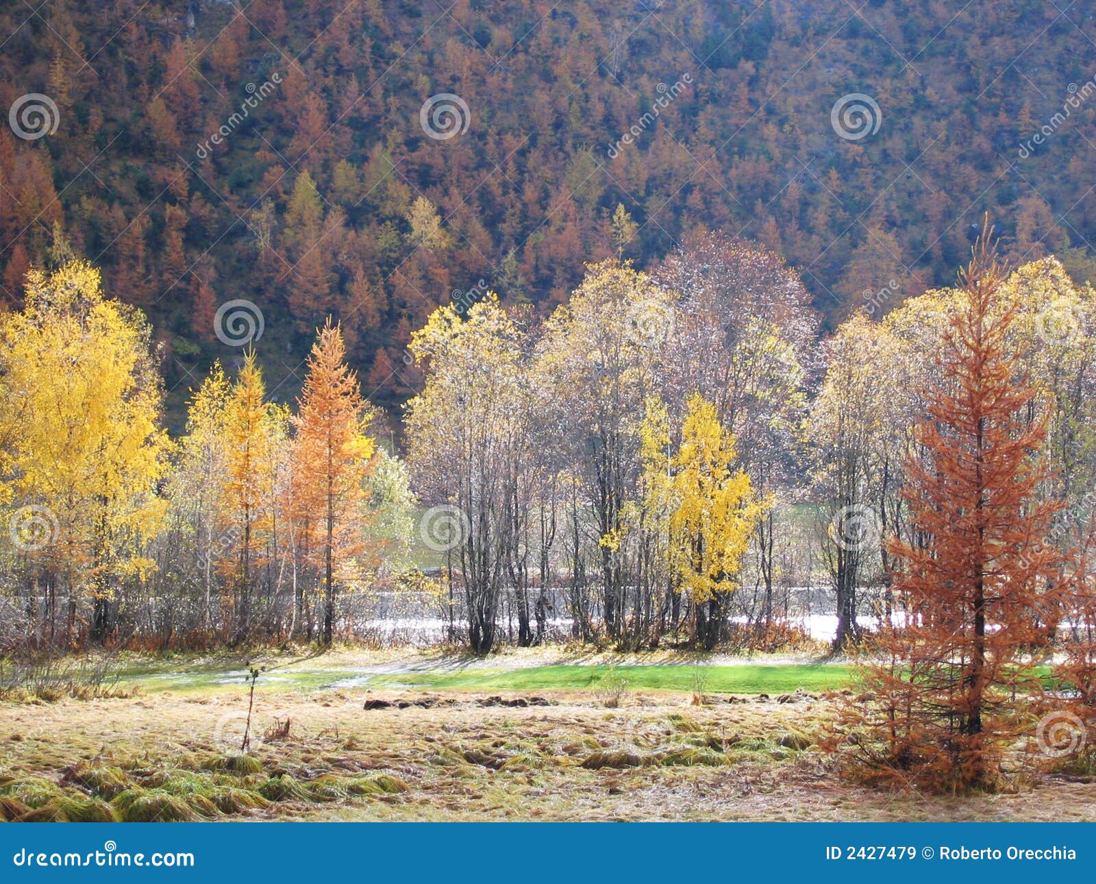 Alps in fall stock image. Image of mountains, italy, tourism - 2427479