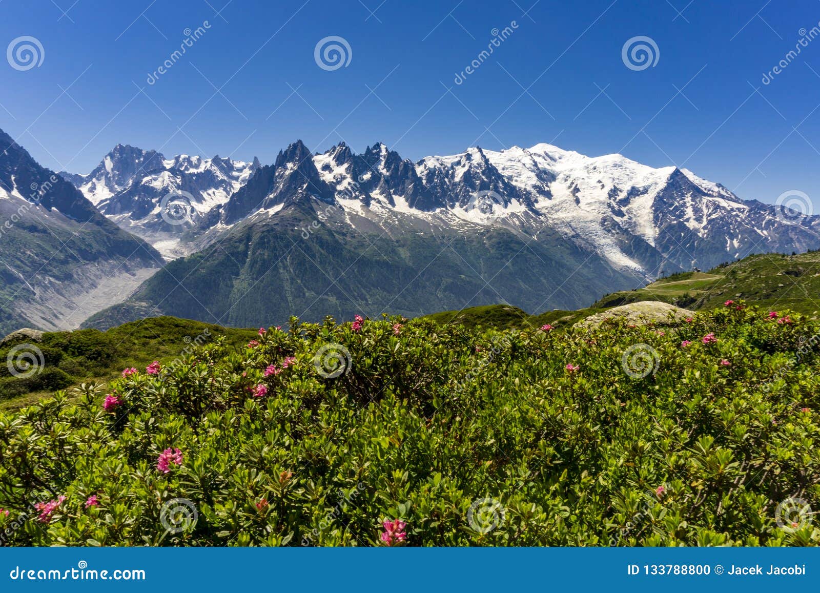 Alps in June. View of the Mont Blanc Massif Stock Photo - Image of ...