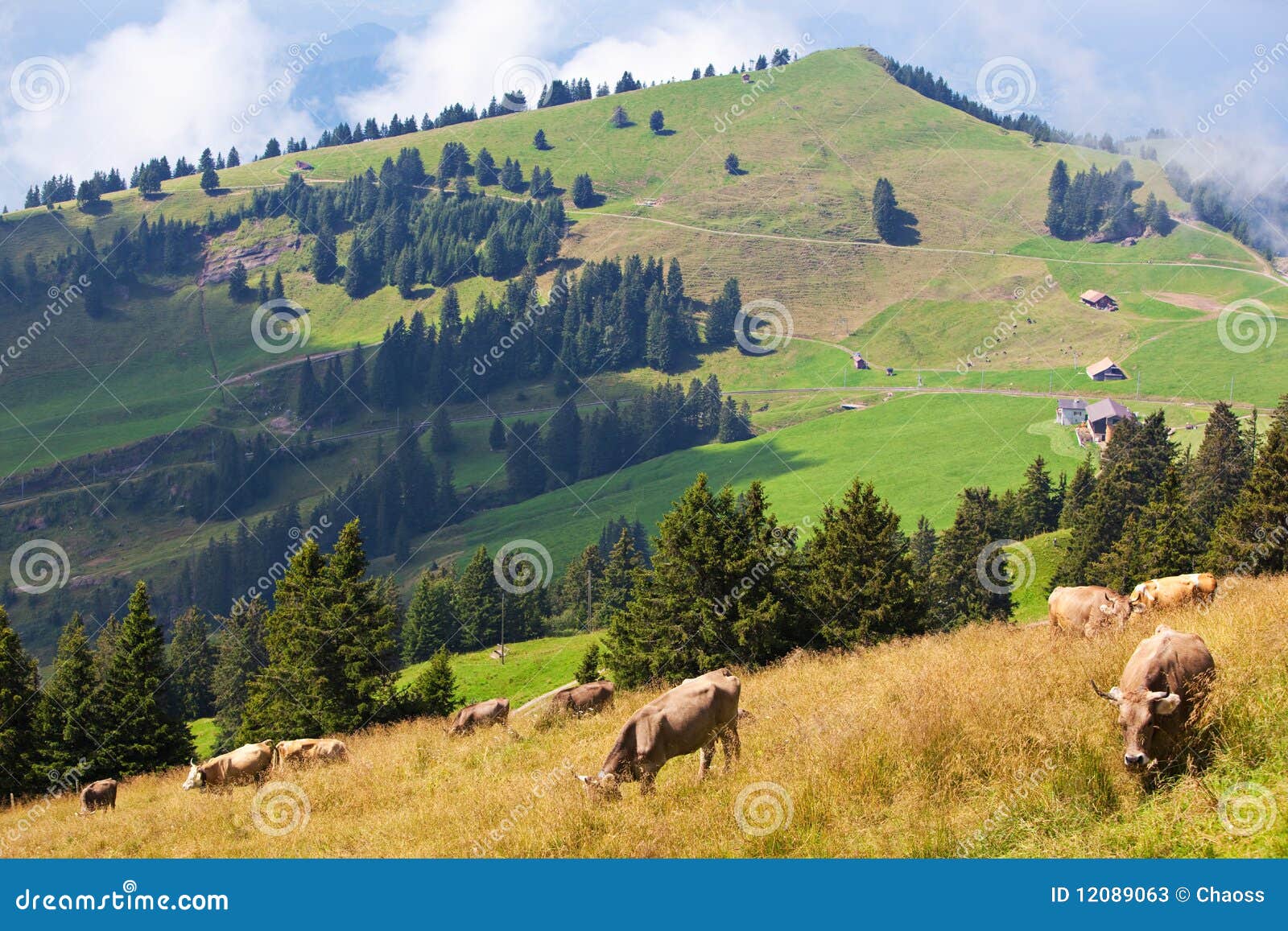 Alps landscape stock image. Image of meadow, outdoors - 12089063
