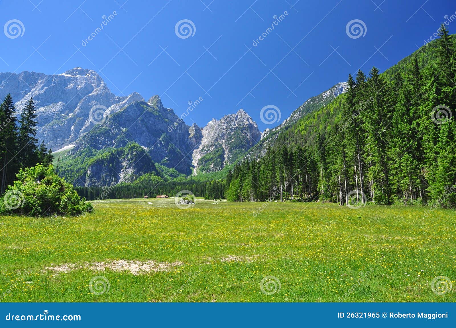 Alps Mountain Scenery. Friuli, Italy Stock Image - Image of blue ...
