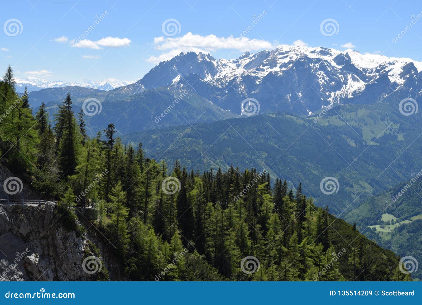 Alps Mountain Slopes with Fir Trees Stock Image - Image of outdoor ...