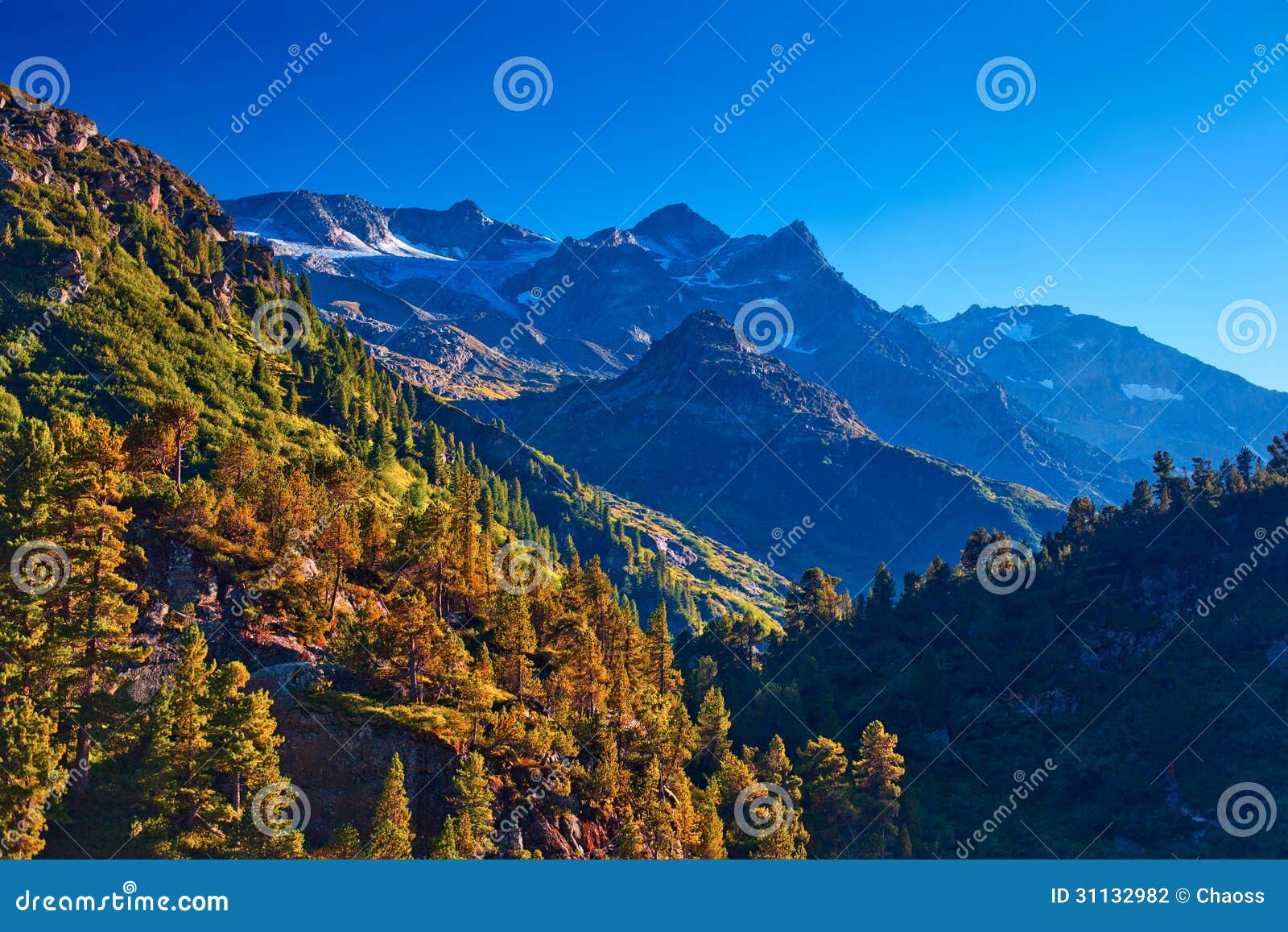 Alps mountains stock photo. Image of trees, outdoors - 31132982