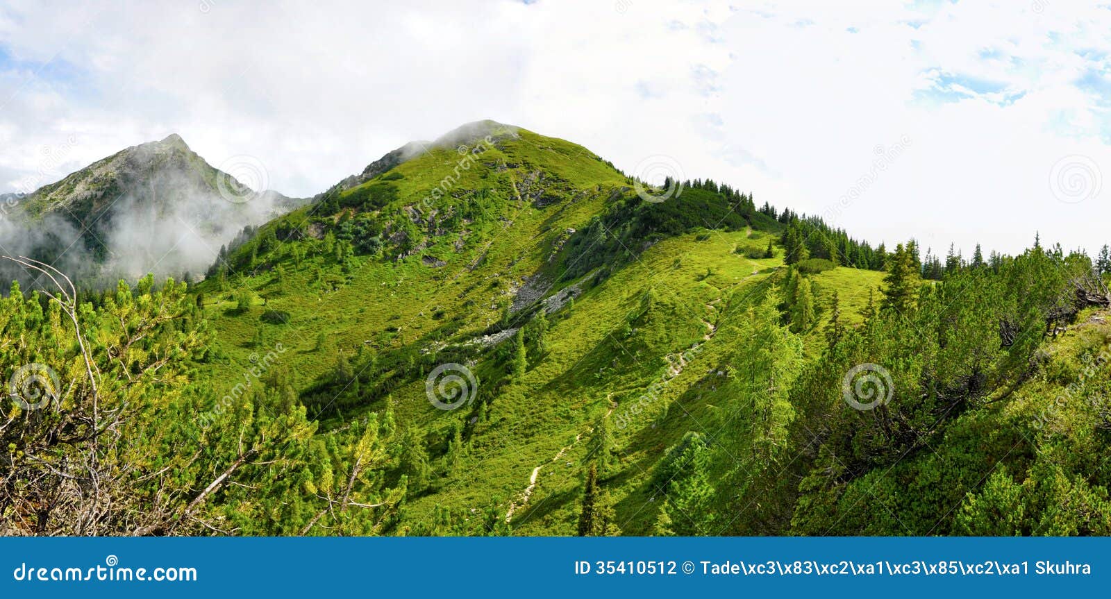 Alps nature stock photo. Image of panorama, grass, scenic - 35410512