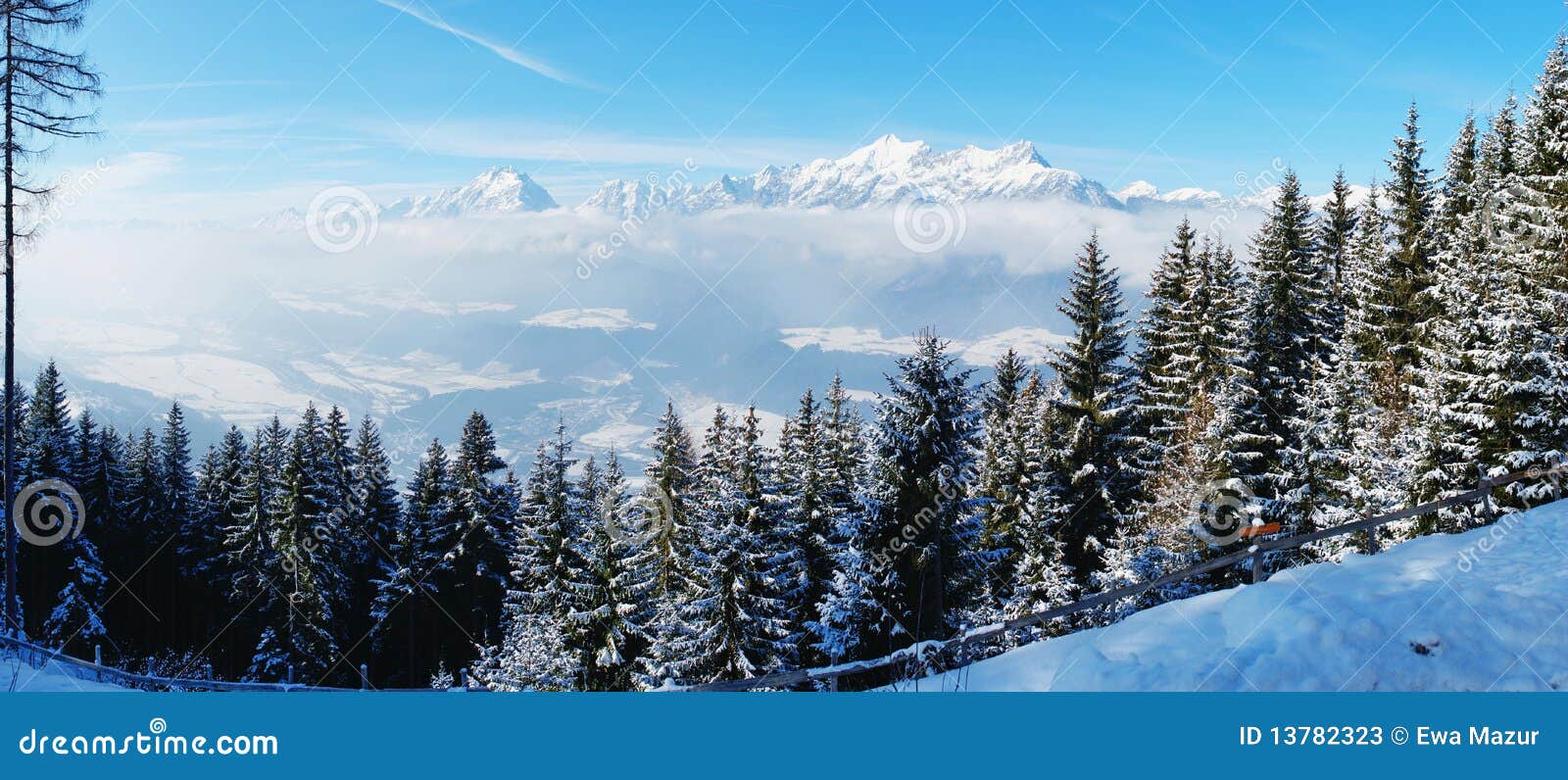 Alps- panorama. stock image. Image of downhill, pine - 13782323