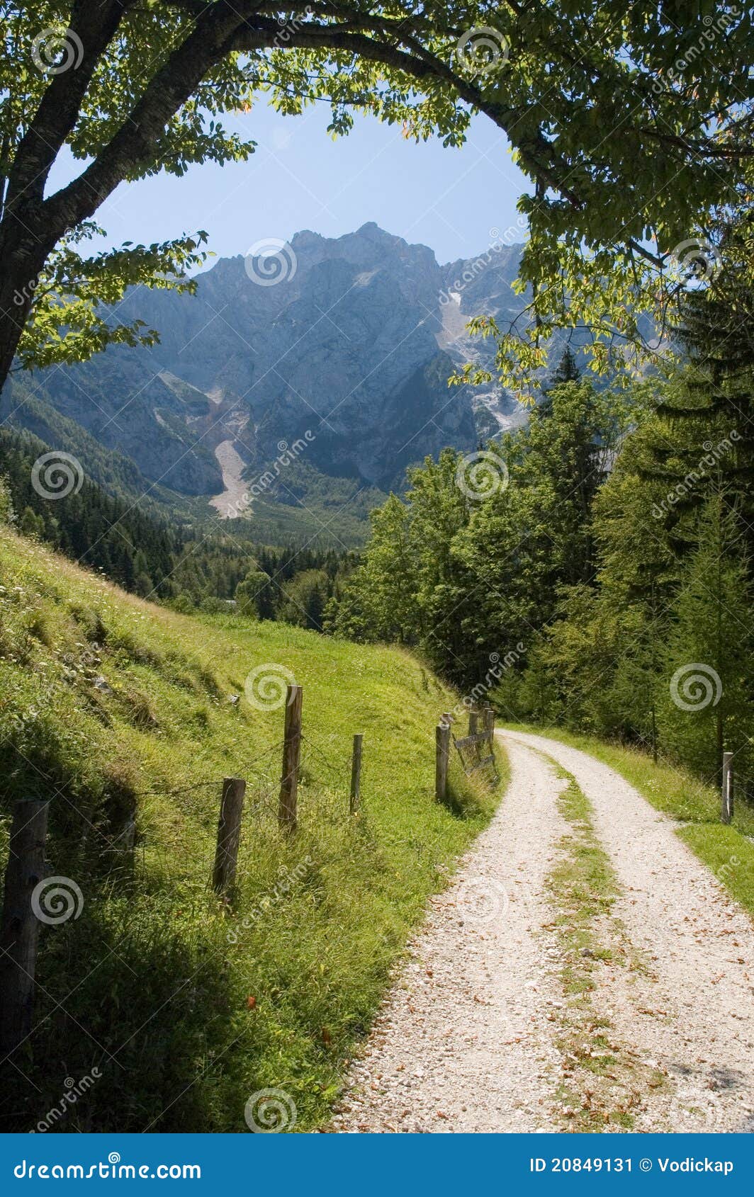 Alps road stock image. Image of mountain, landscape, green - 20849131