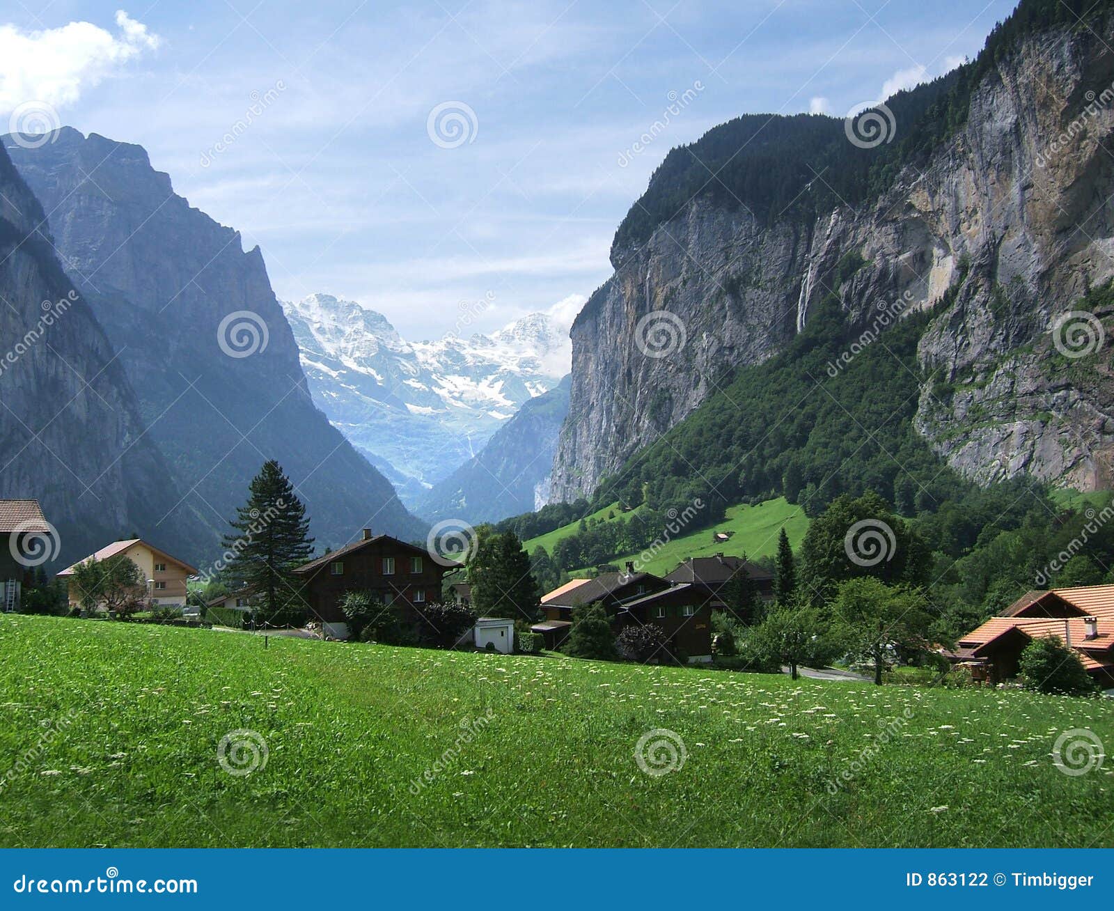 Alps Scene stock photo. Image of blue, alps, swiss, meadow - 863122