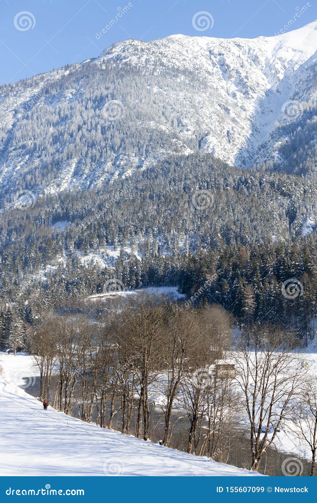 Alps in snow, Austrian stock image. Image of nature - 155607099