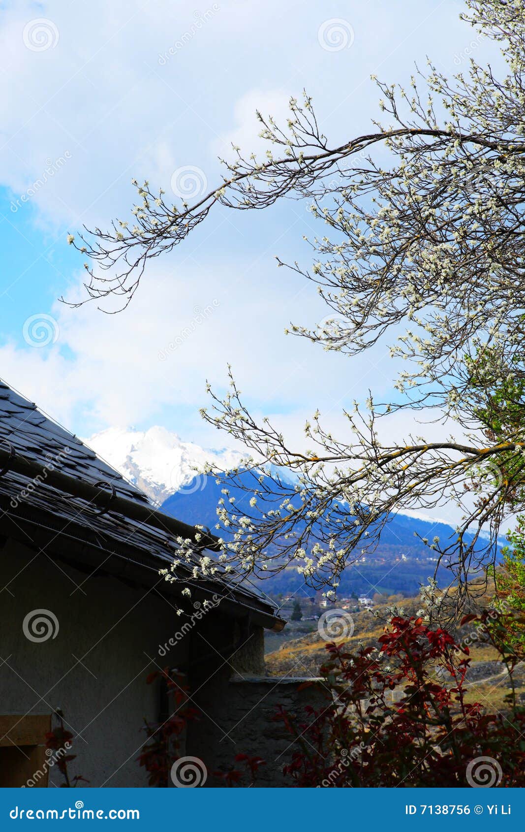 Alps spring stock photo. Image of garden, scenery, blue - 7138756