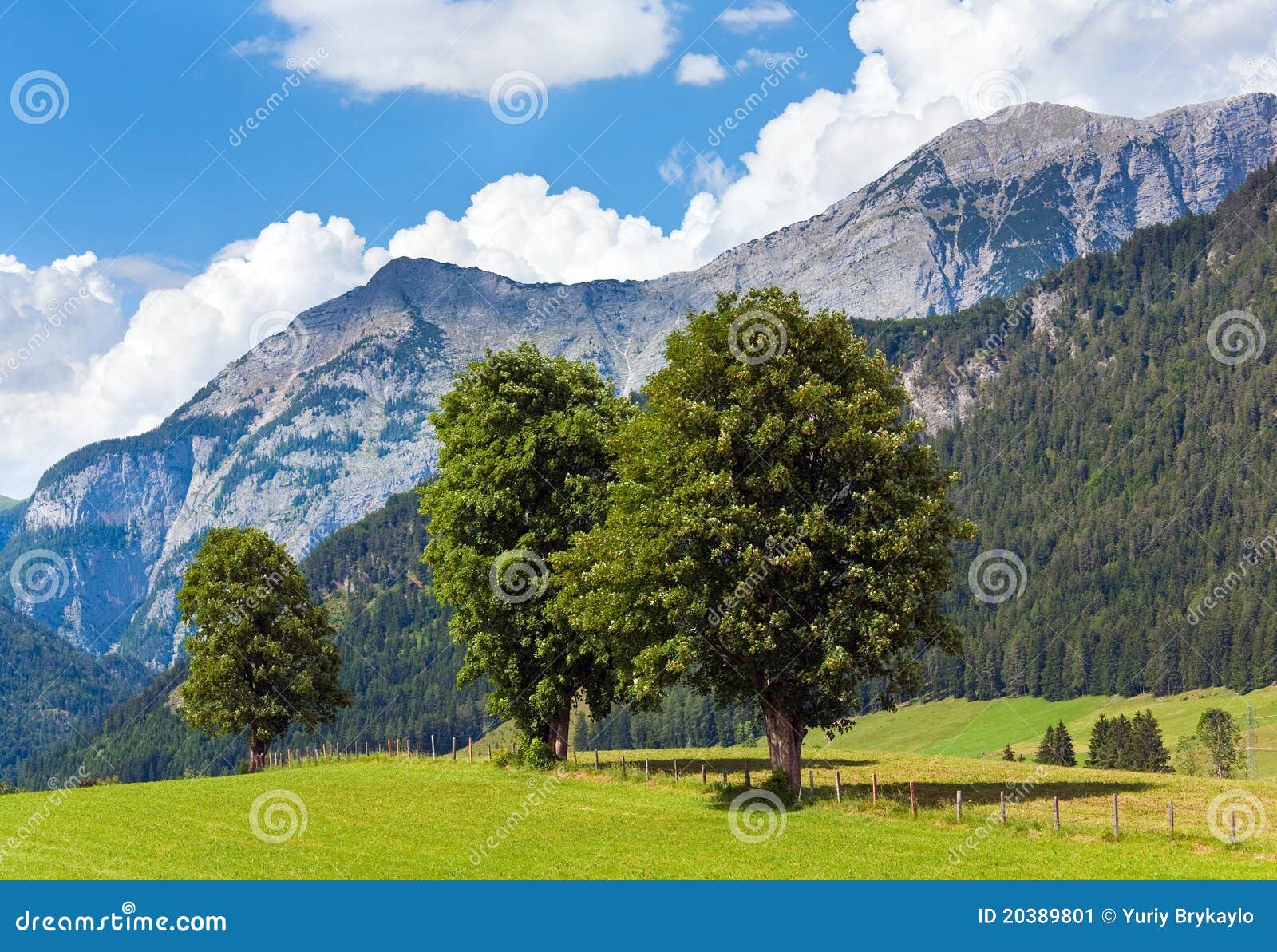 Alps summer view stock image. Image of meadow, outdoor - 20389801