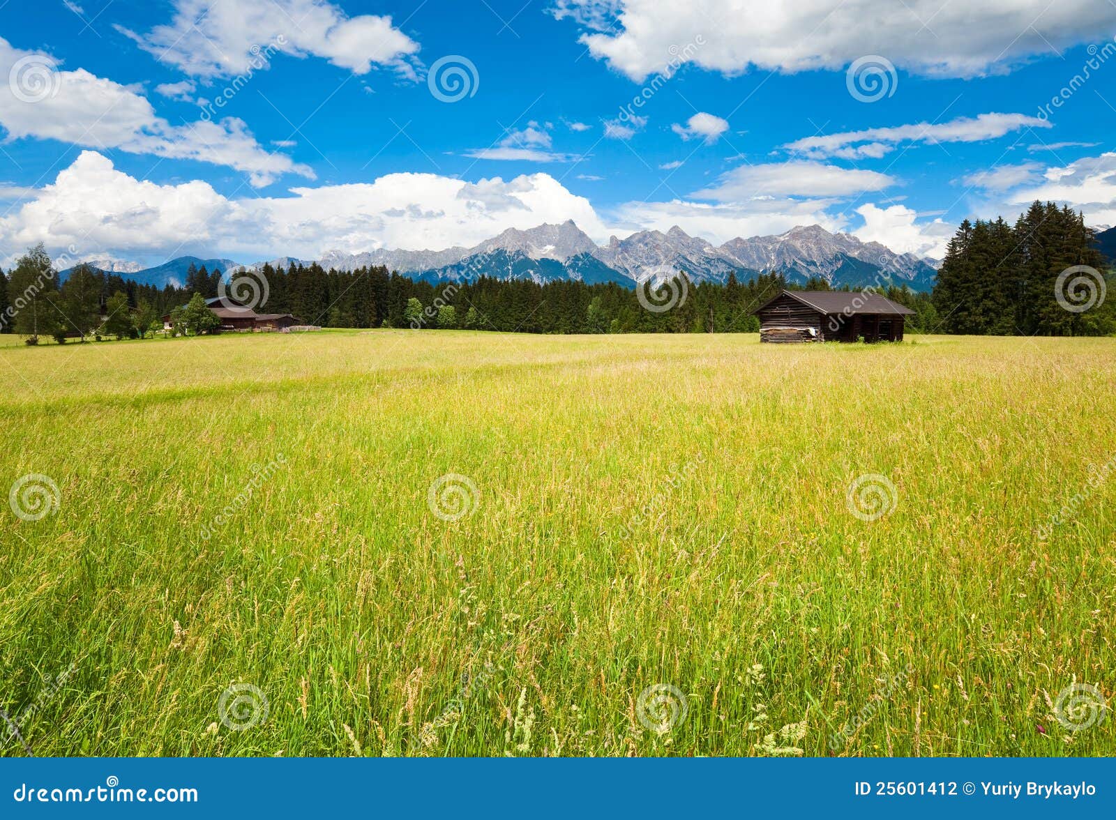 Alps summer view stock photo. Image of tranquil, rural - 25601412