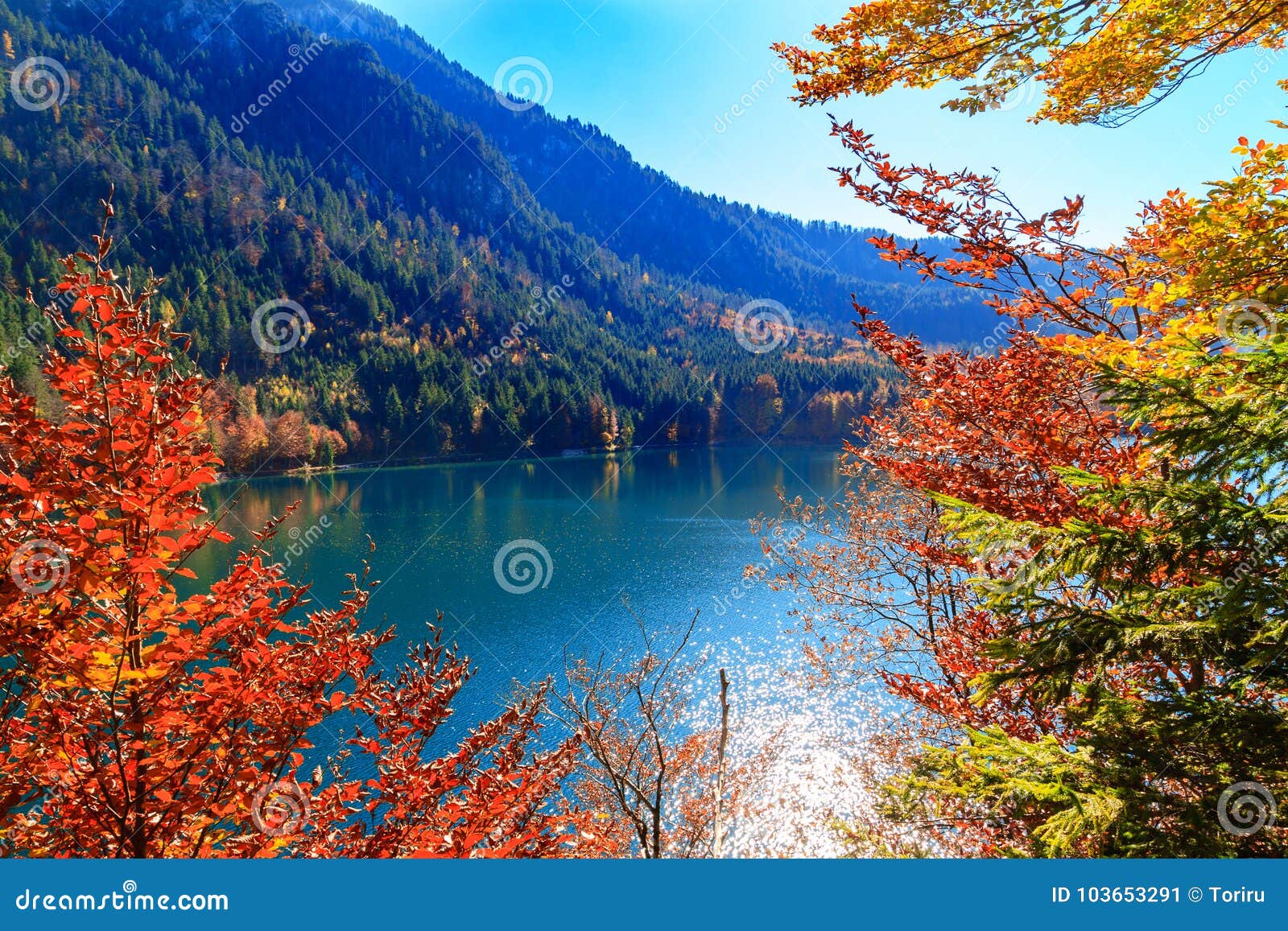 Alpsee Lake.Bavaria, Germany Stock Image - Image of alpine ...