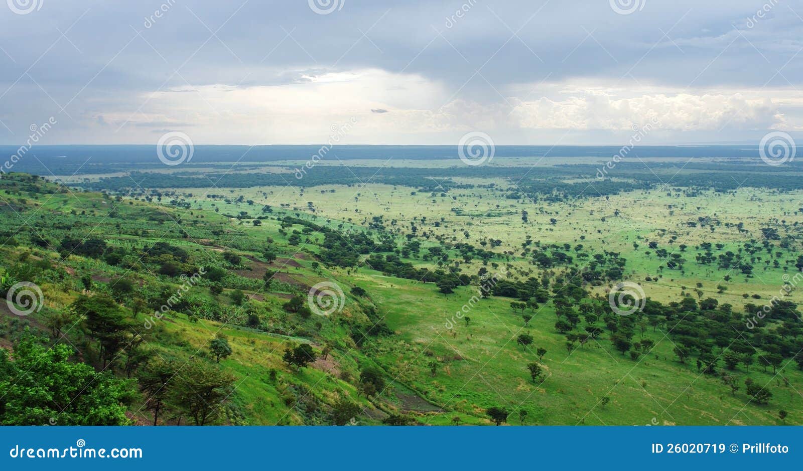 Alrededor Del Bosque Impenetrable De Bwindi En Uganda Imagen de archivo ...