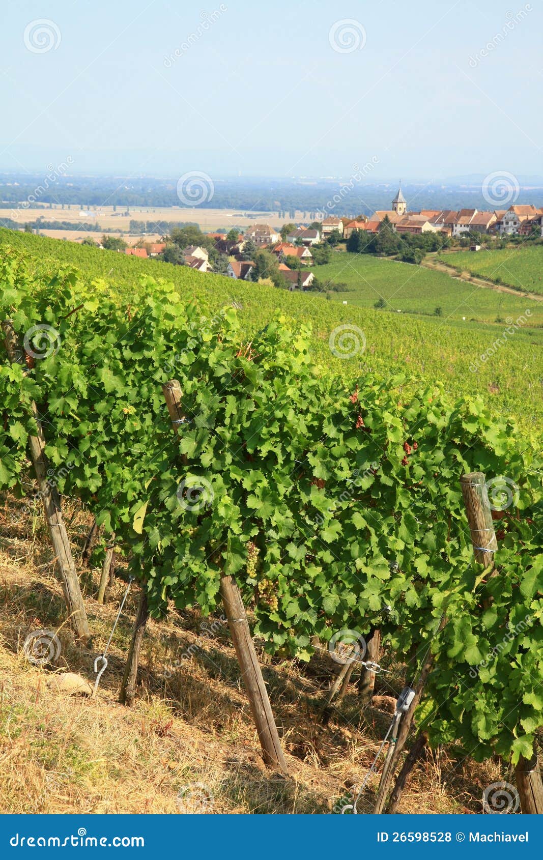Alsace landscape stock photo. Image of alsatian, landscape - 26598528
