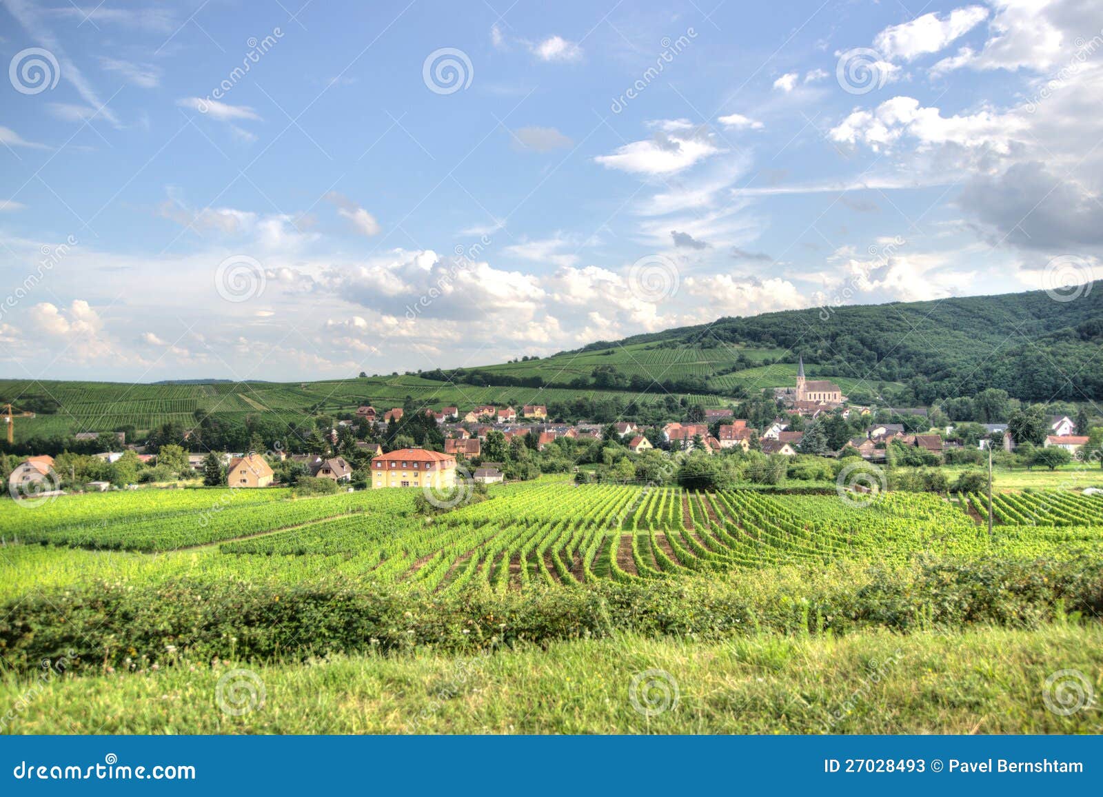 Alsace Landscape and Vinewyard Stock Image - Image of nature, hiking ...