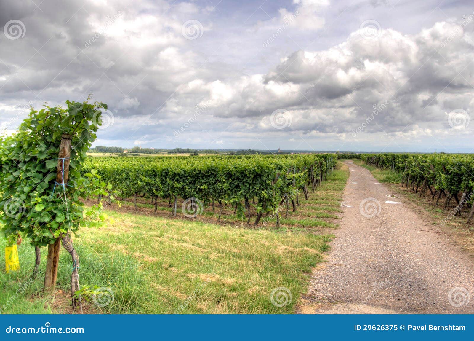 Alsace Landscape and Vinewyard Stock Image - Image of vacation, travel ...
