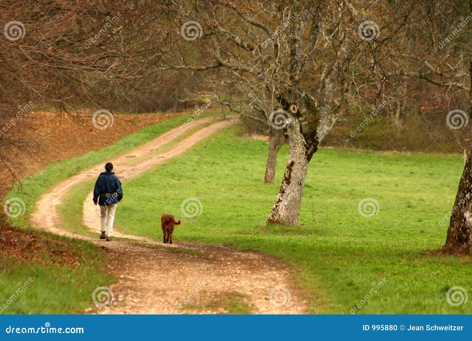 Alsacian landscape01 stock photo. Image of landscape, leaf - 995880